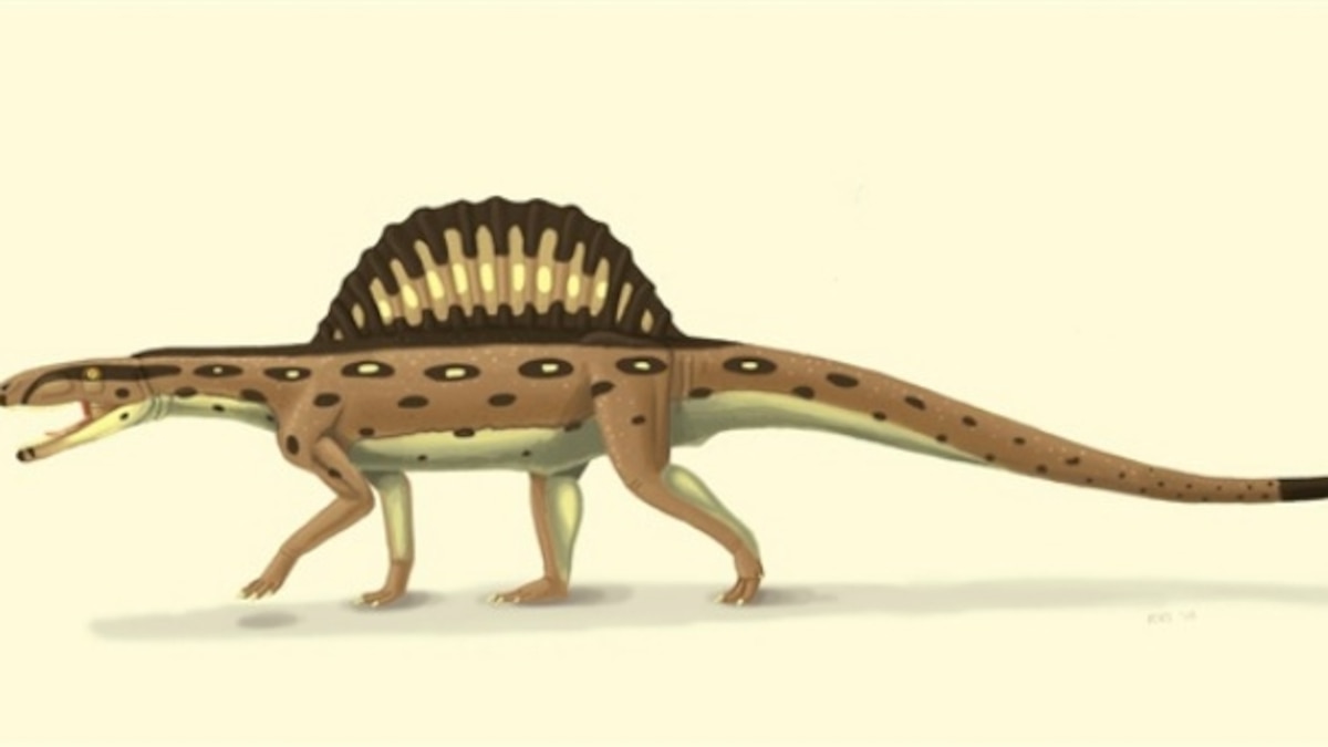 A Tale of Three Sails | National Geographic