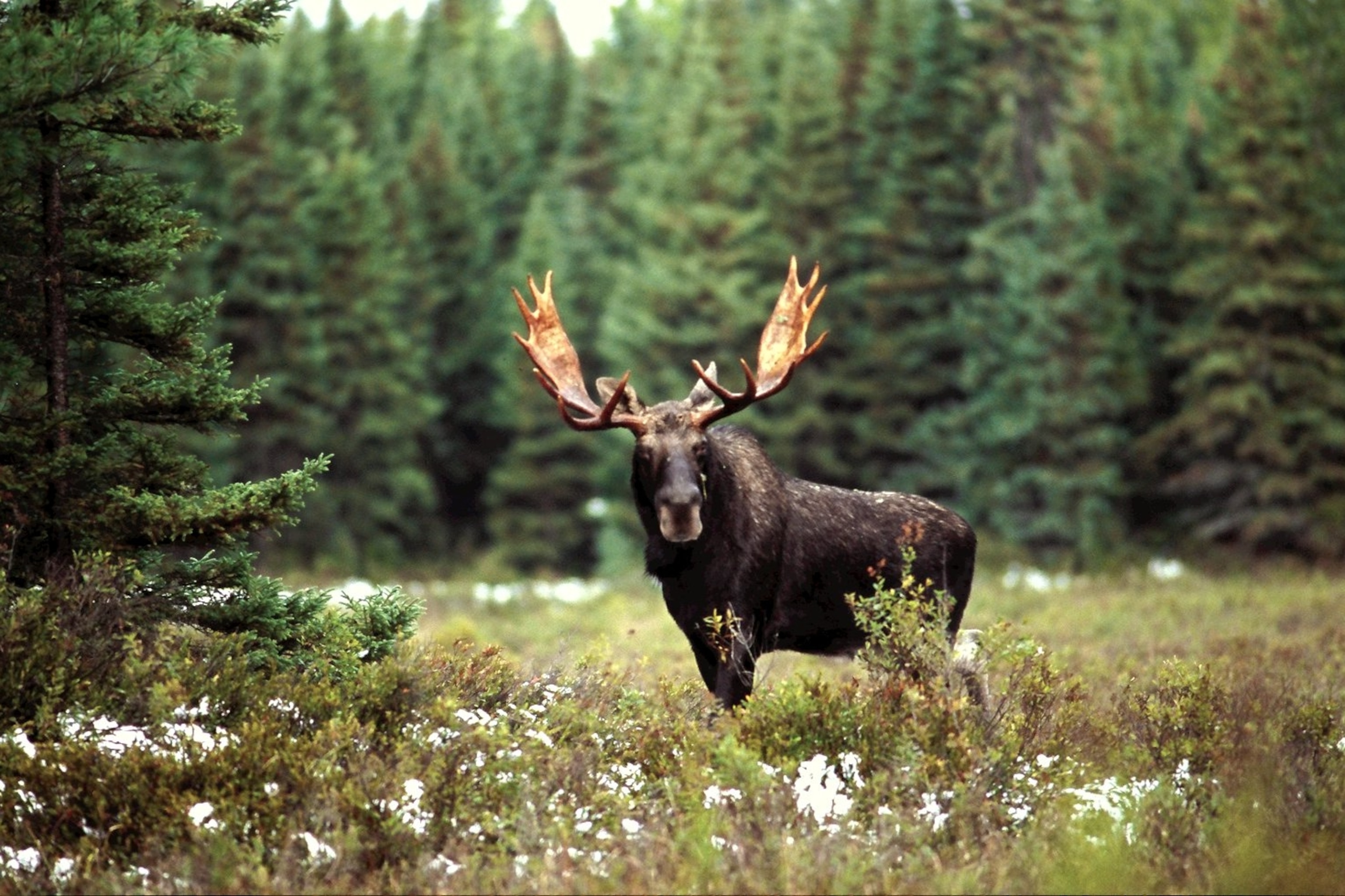 10 Must-Have Experiences in Ontario