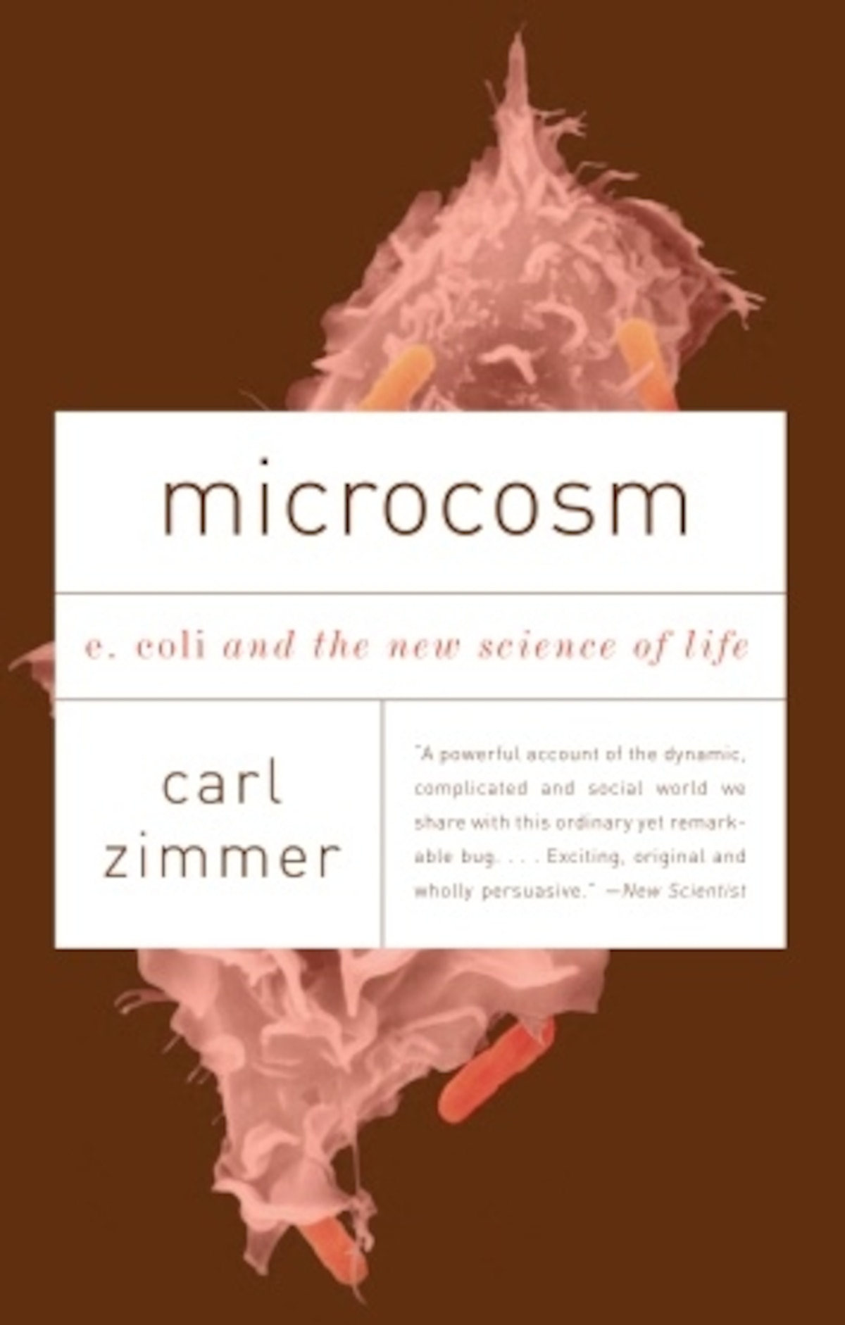 Microcosm Week: Dreaming of a Complete Solution to Life
