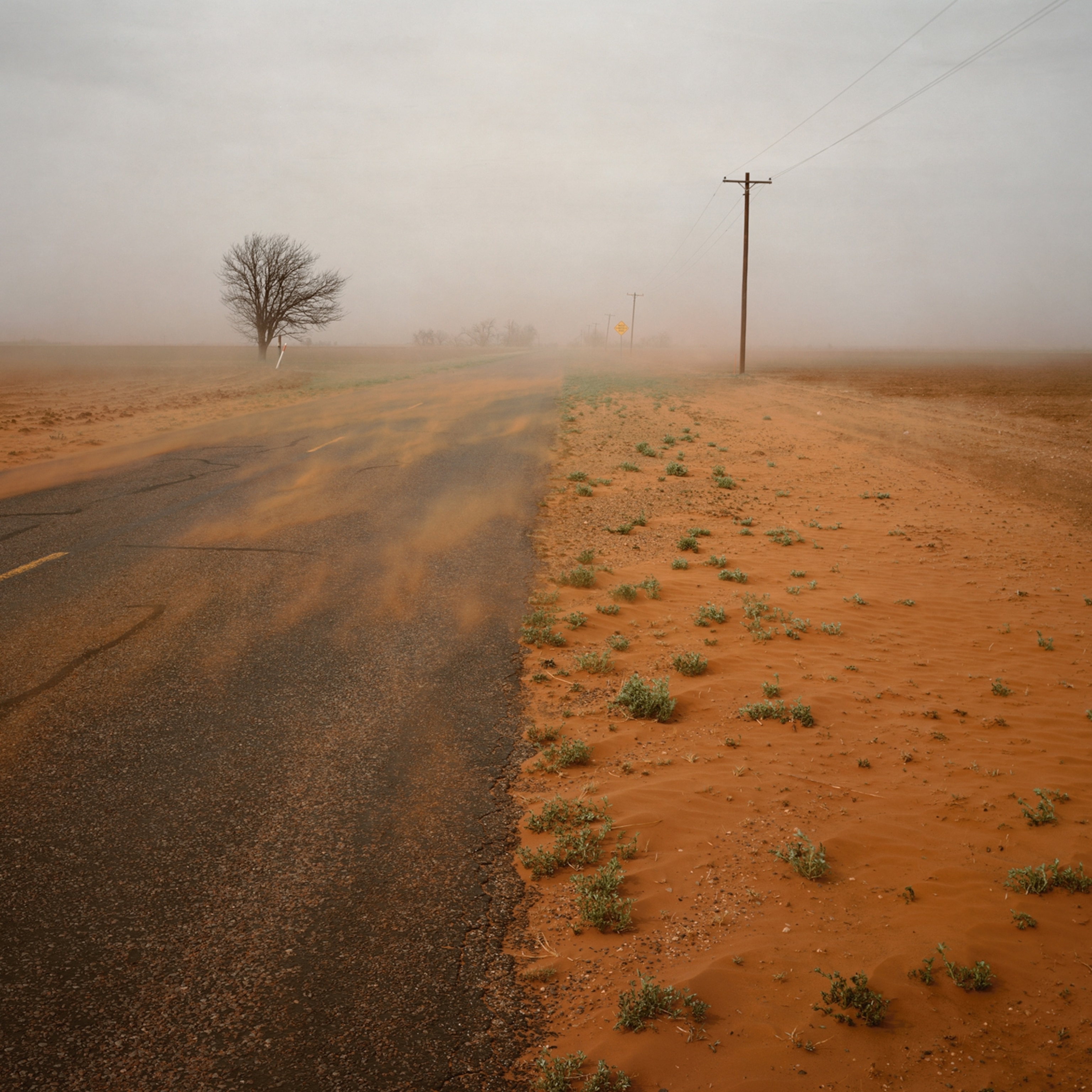 Dust Bowl Fields