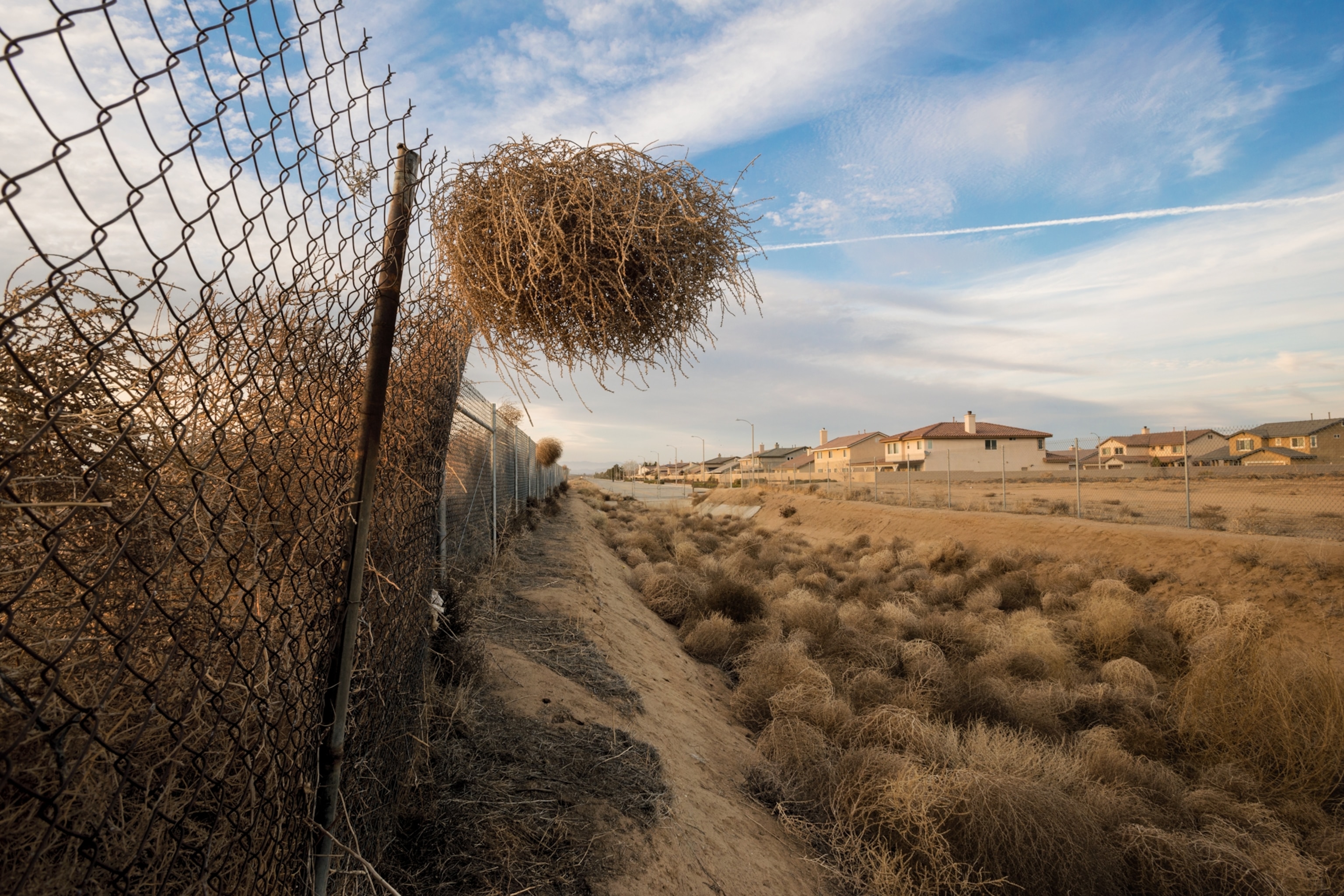 Tumbleweeds - National Geographic Magazine
