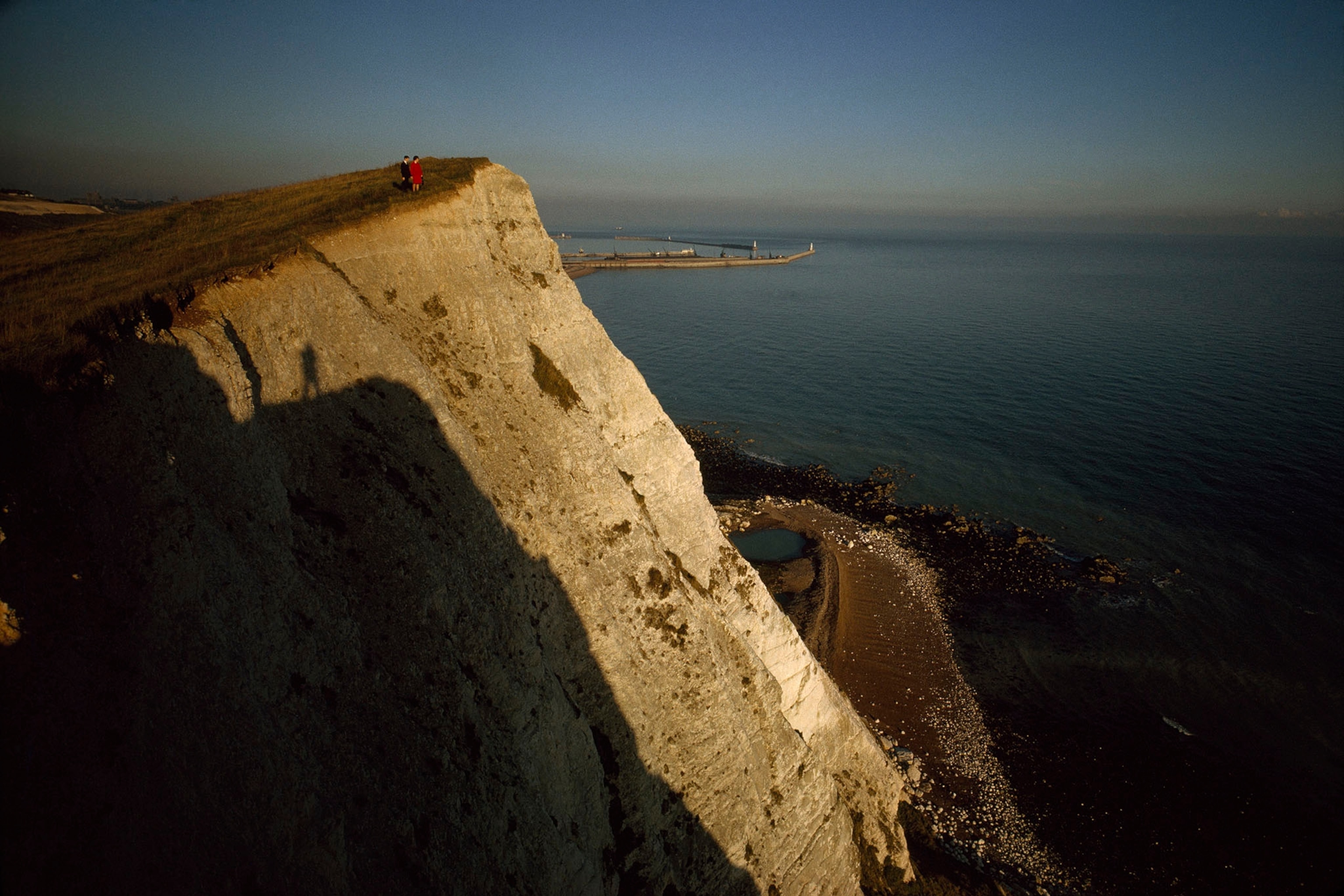 Coral Reefs and Other Structures Built by Surprising Creatures