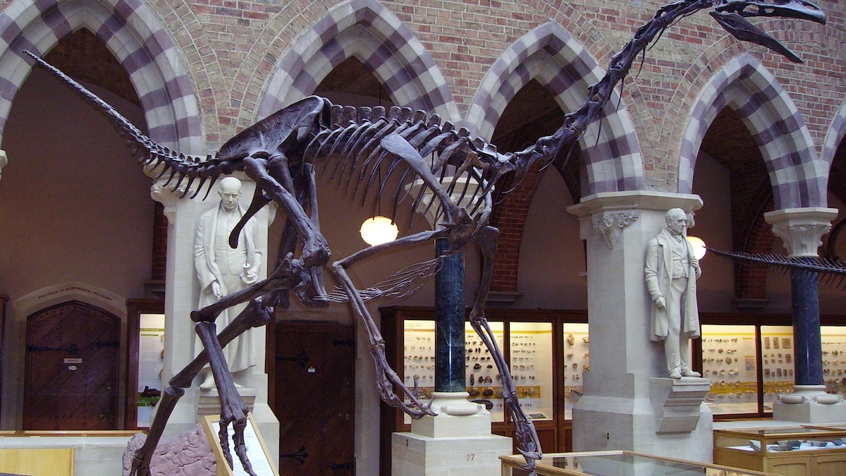 N is for Nqwebasaurus | National Geographic