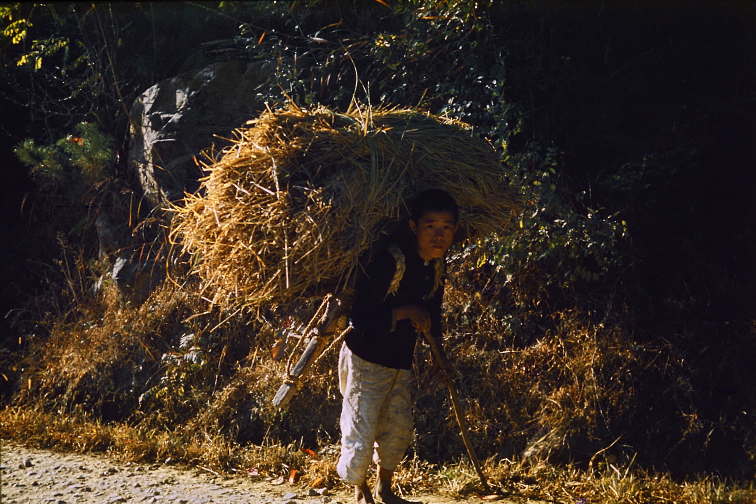 A rare look at postwar Korea emerges from long-lost photos