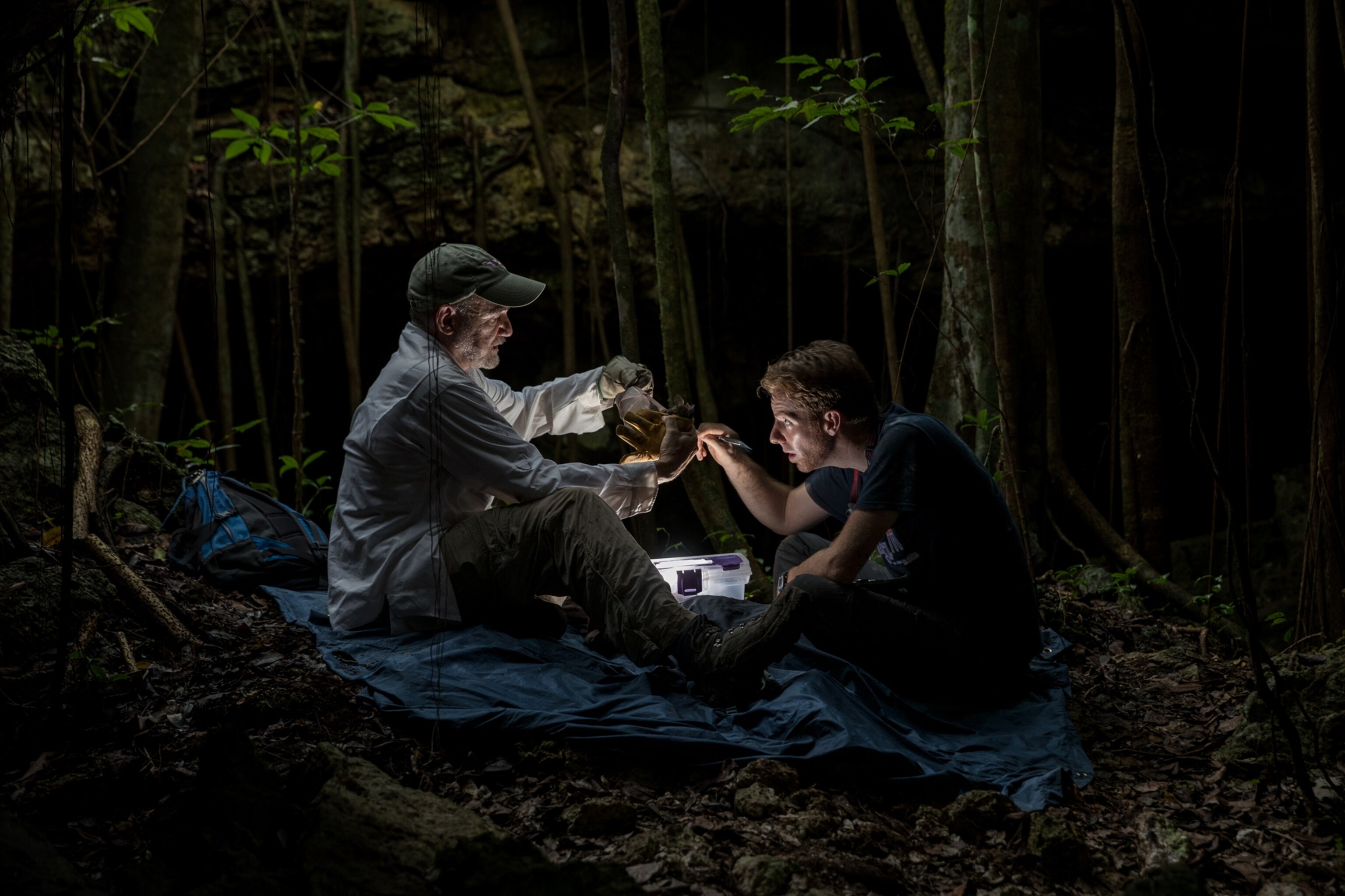 Ancient Temple Reveals Secrets of Mexico’s Meat-Eating Bats