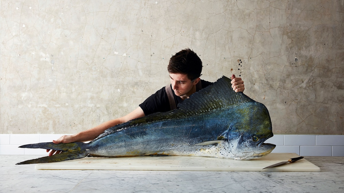 Meet Josh Niland, the Australian chef who started a fish revolution ...