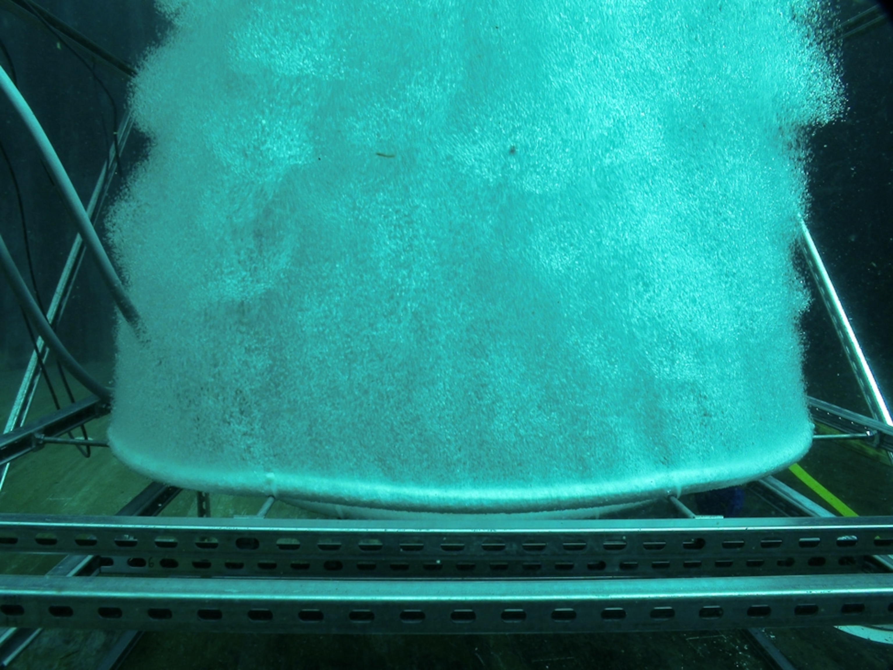 Bubble Curtains: Can They Dampen Offshore Energy Sound for Whales?