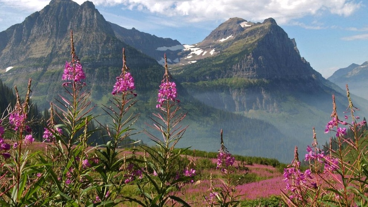 National Parks Road Trip: Northern Rockies -- National Geographic ...