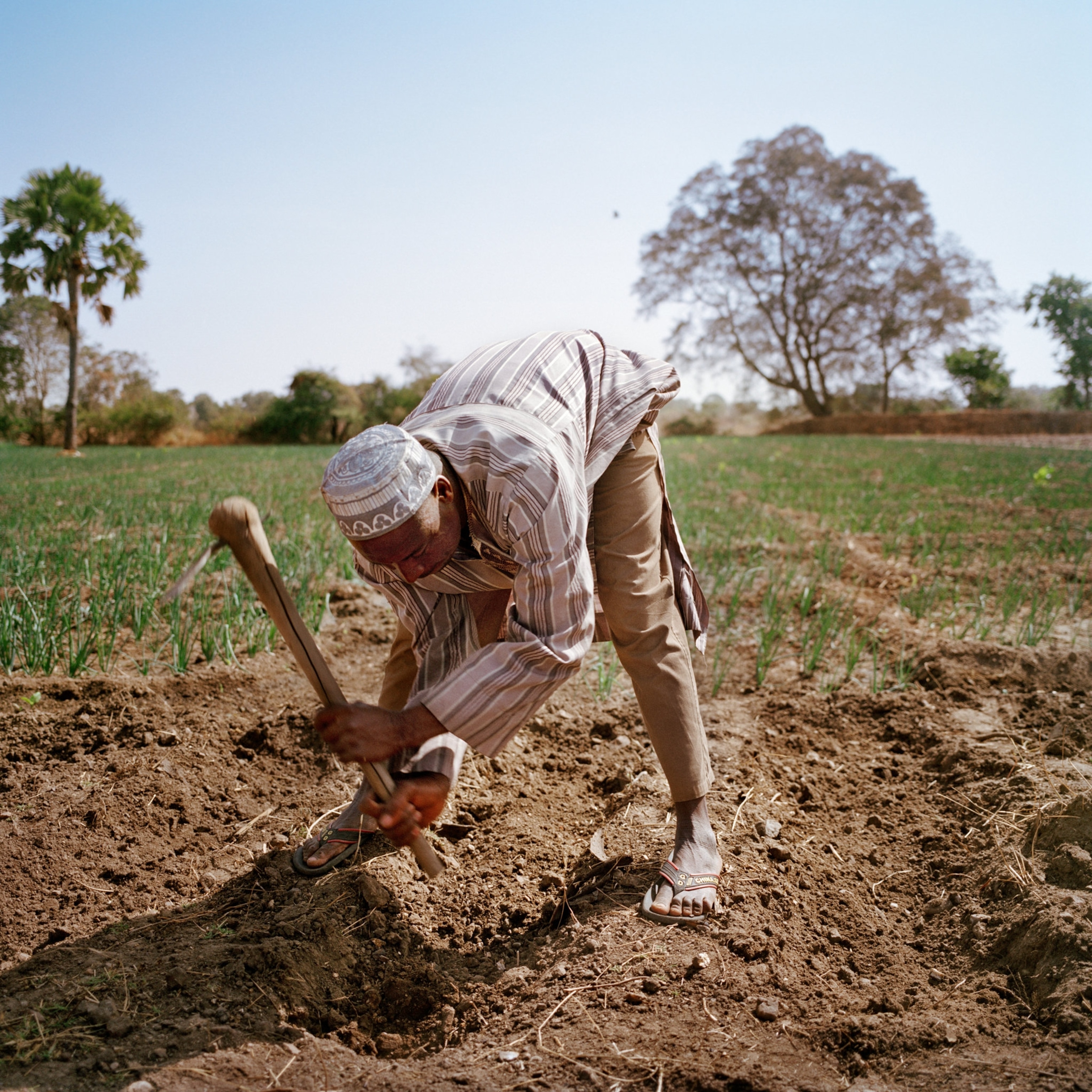 Could Farmers Bring Peace to Nigeria?