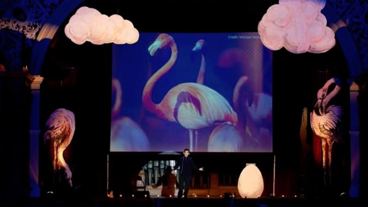 A Talk on Mind-Controlling Parasites | National Geographic