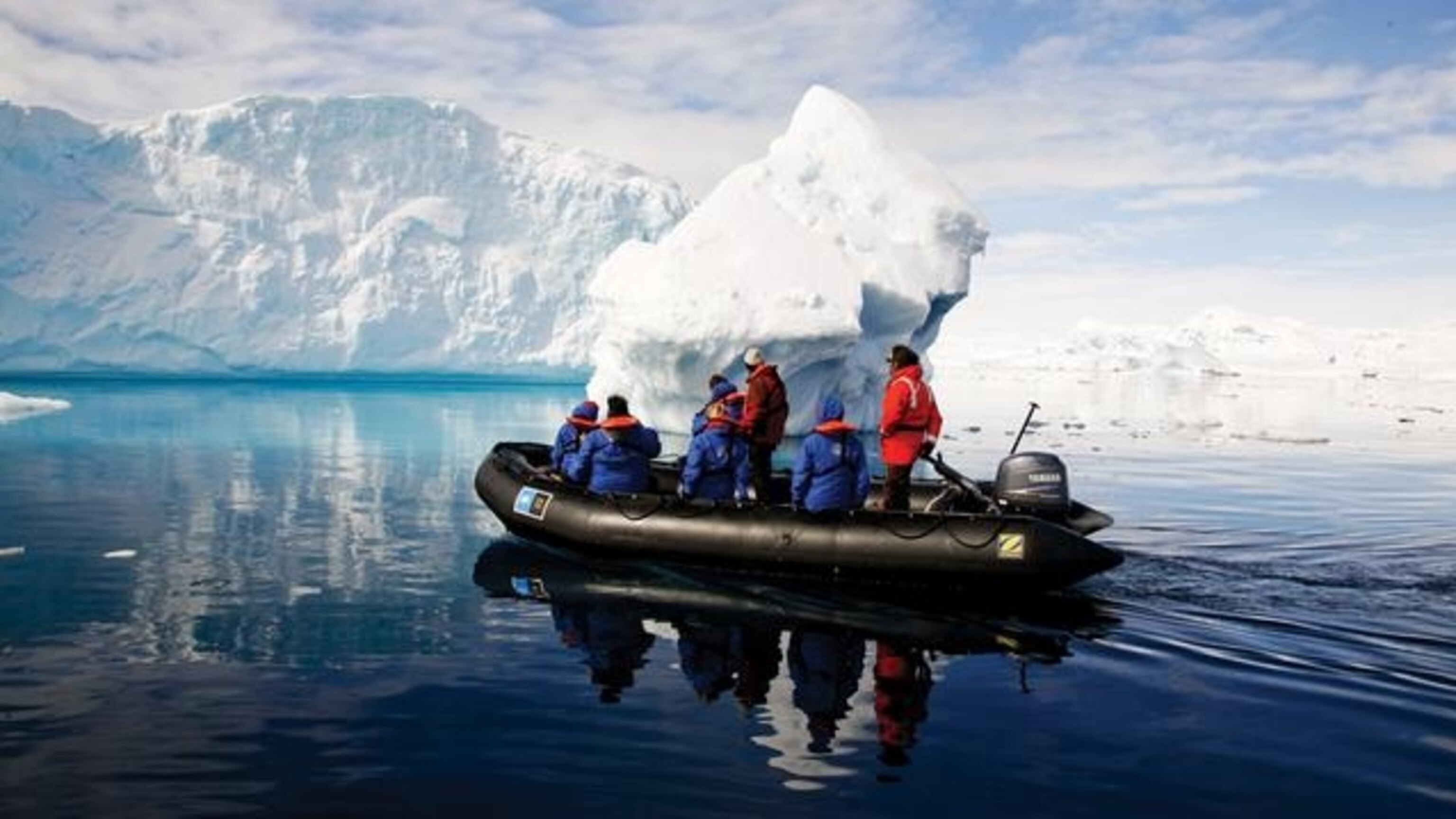Antarctica Comes Alive: Wednesday, 4/11