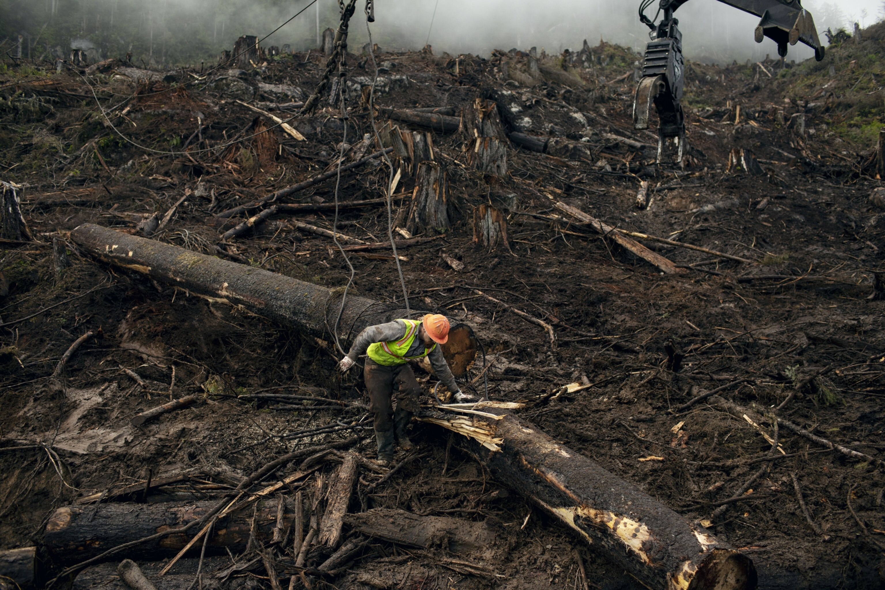 Will the COP26 global deforestation pledge save forests?