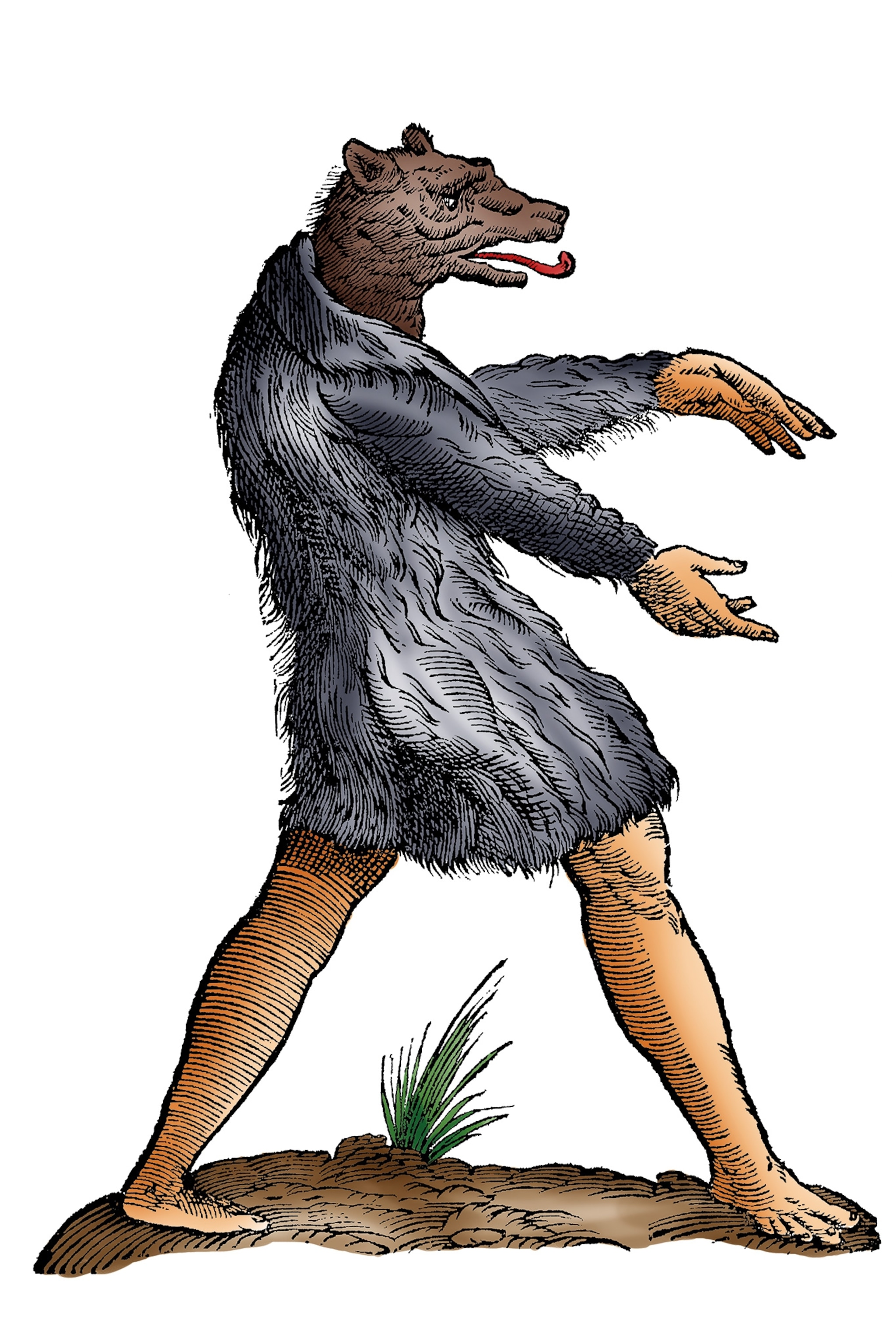 A German werewolf's 'confessions' horrified 1500s Europe