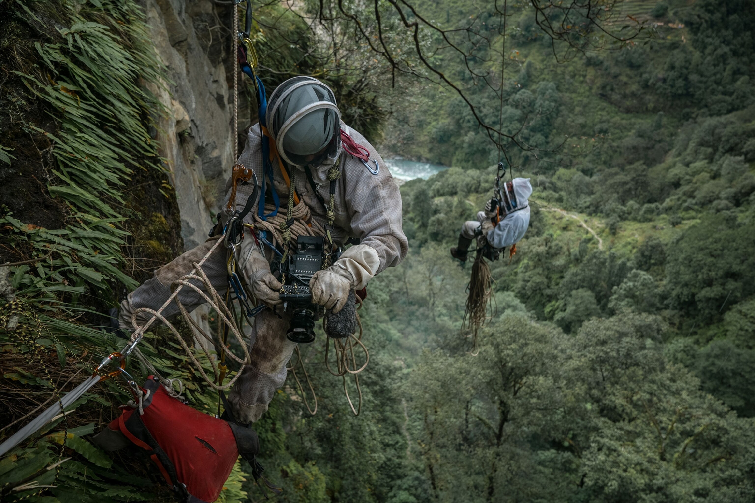 This Man Endured Bee Stings and a Death-Defying Climb to Photograph ...