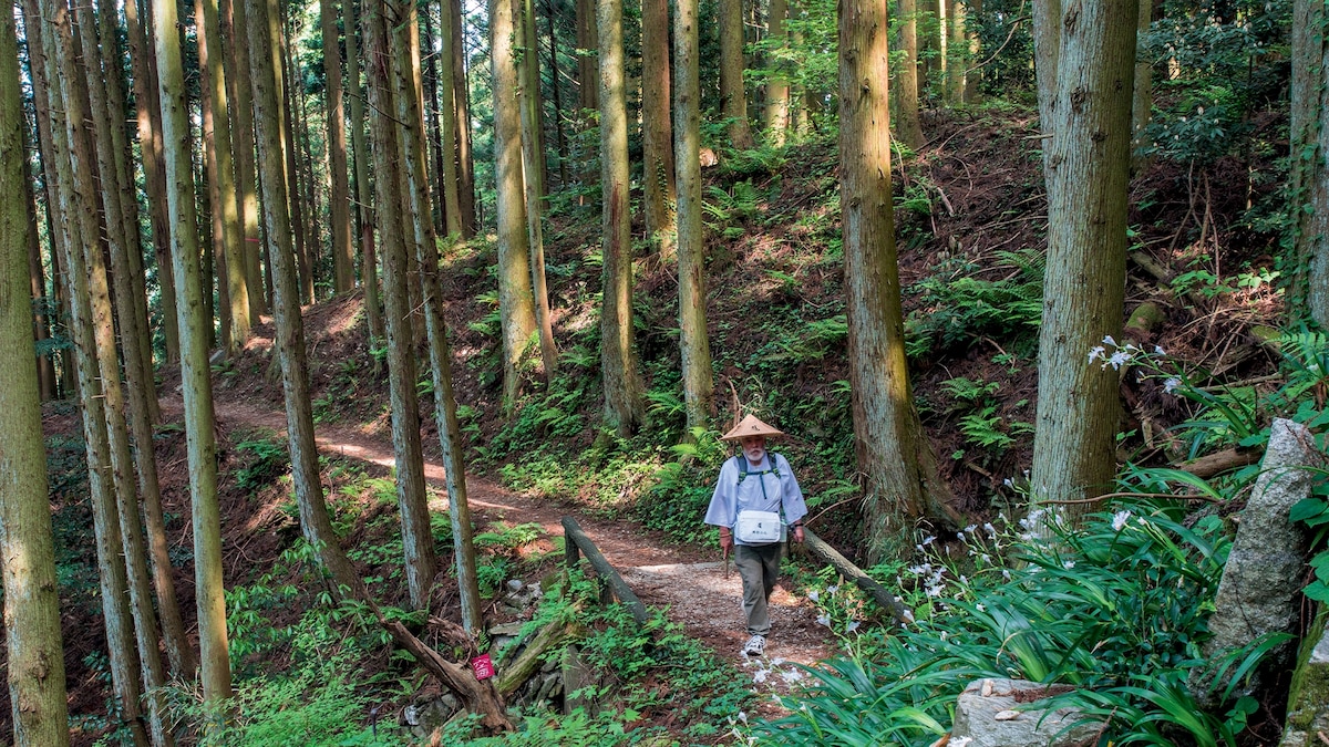 Need a spiritual lift? Try the Shikoku Henro pilgrimage hike in Japan ...