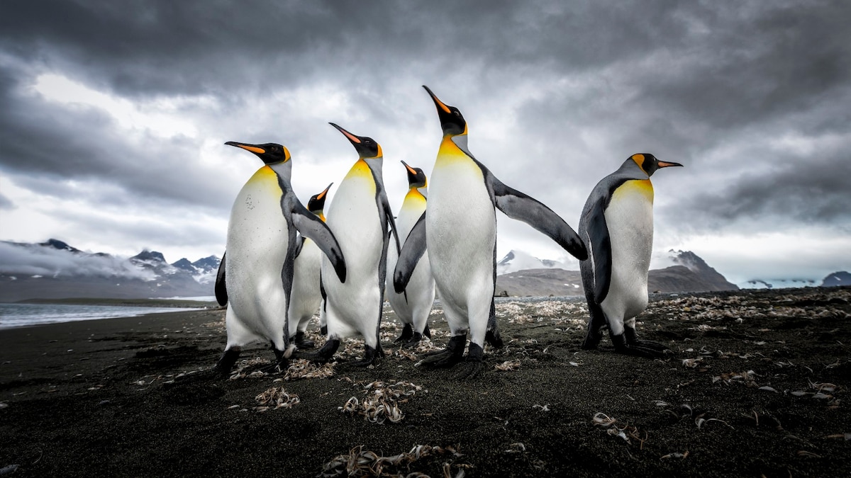 Your best photos of the week, May 3, 2019 | National Geographic