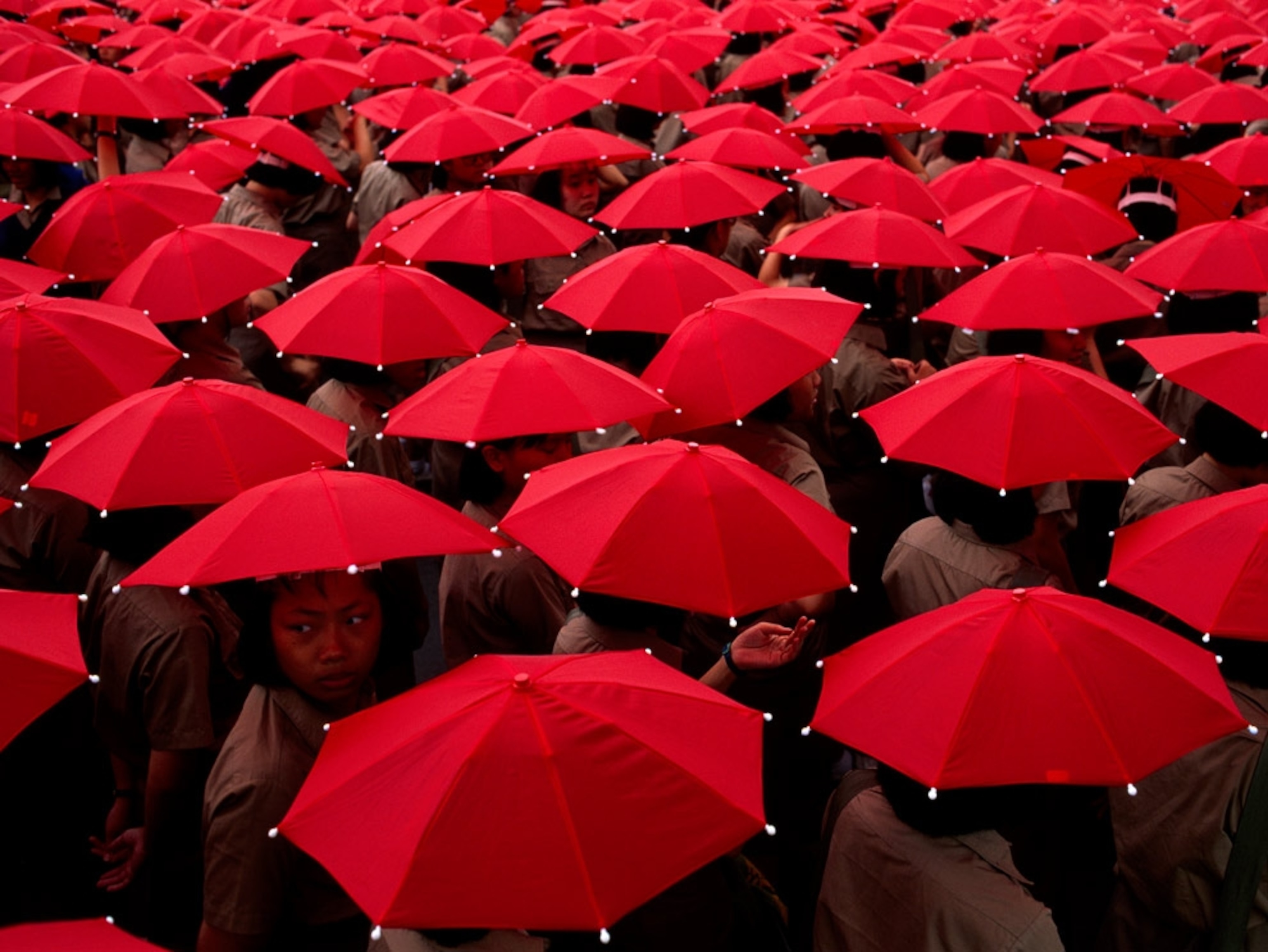 Life in Color: Red, Red Pictures -- National Geographic