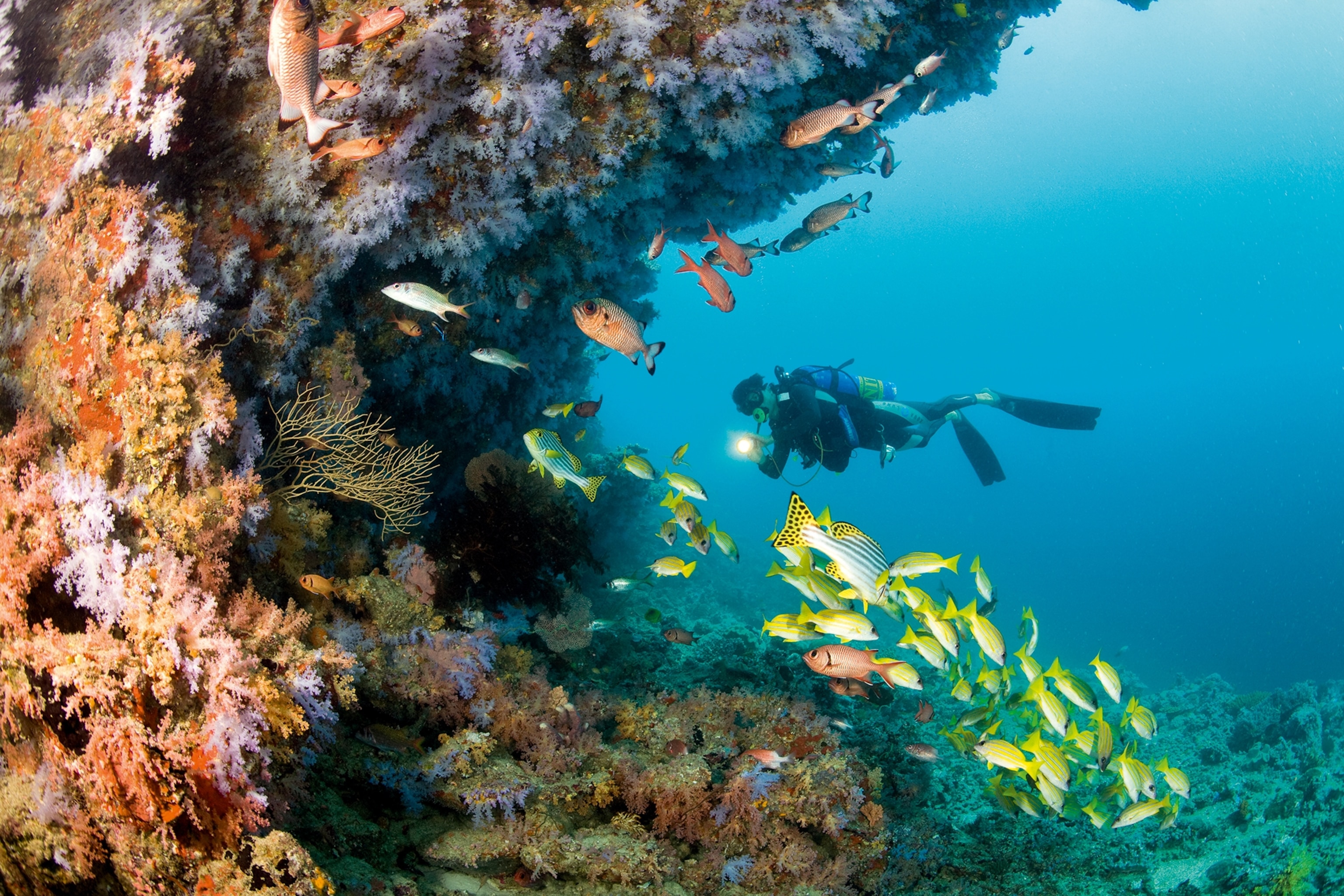 How to get active in the Maldives, from surfing to diving