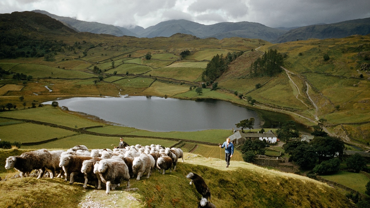 Why the Life of a Shepherd Has Value In Today’s World | National Geographic