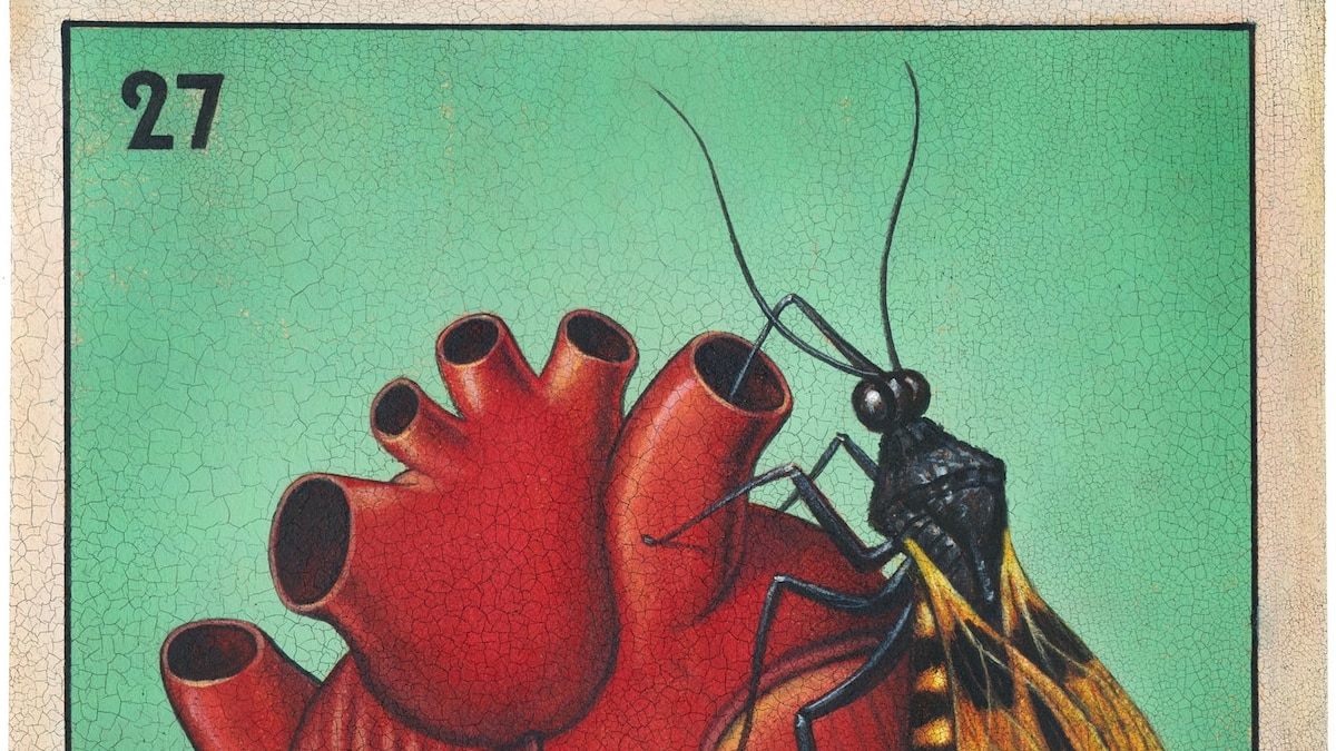 Chagas disease infects 300,000 people in the U.S. | National Geographic