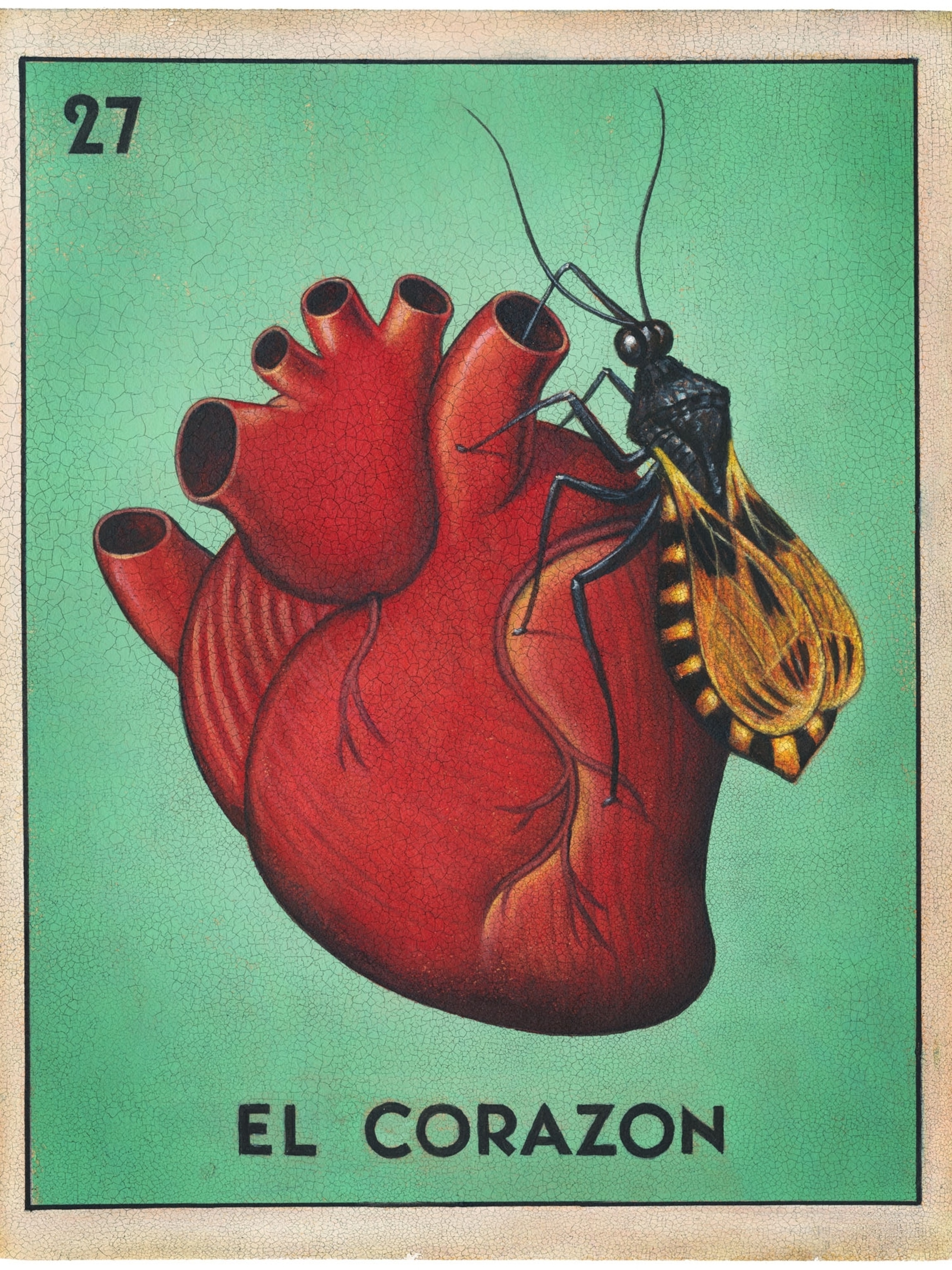 Chagas disease infects 300,000 people in the U.S.