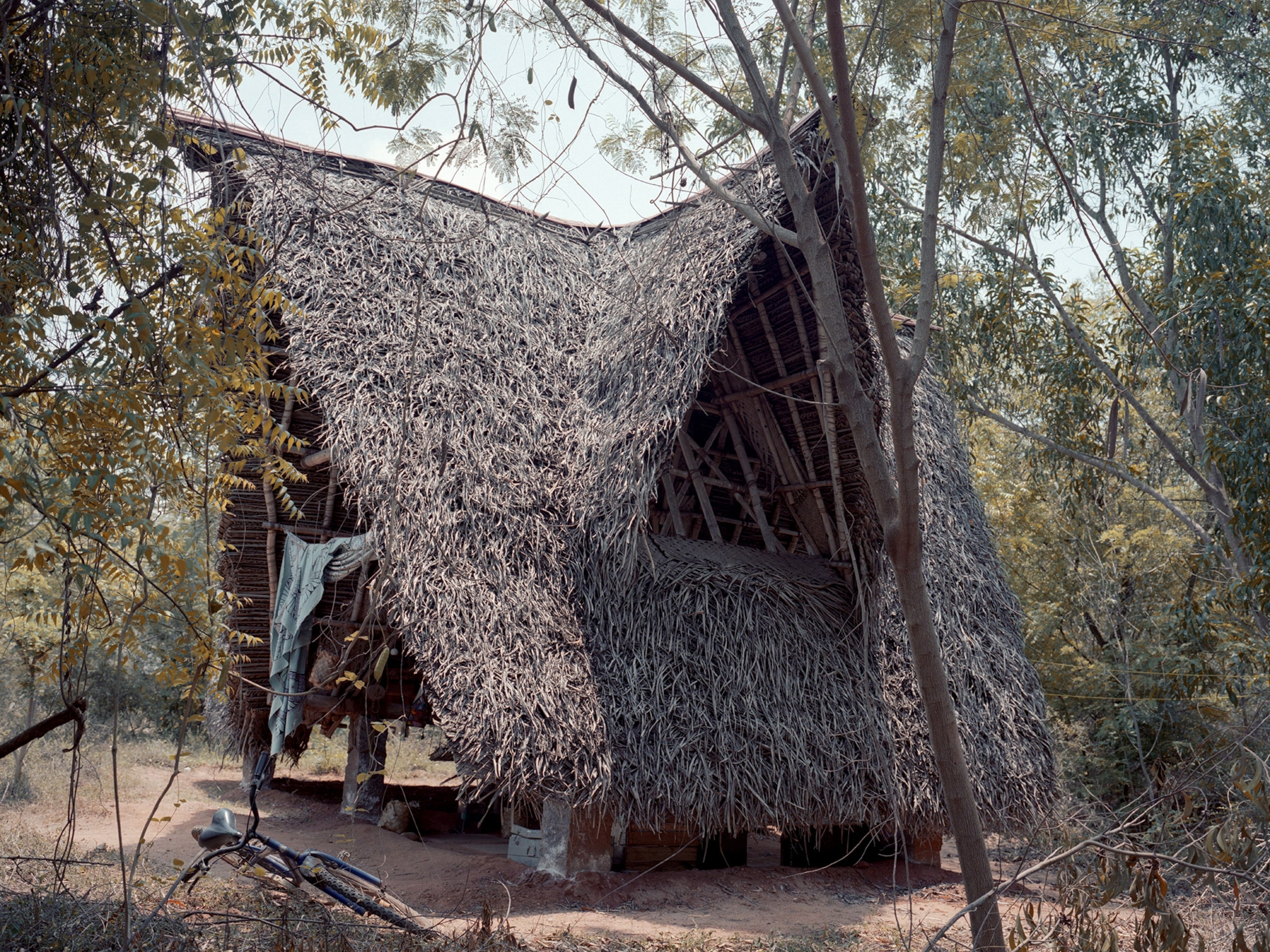 This Eclectic Community Transformed a Desert into a Fantastical Forest