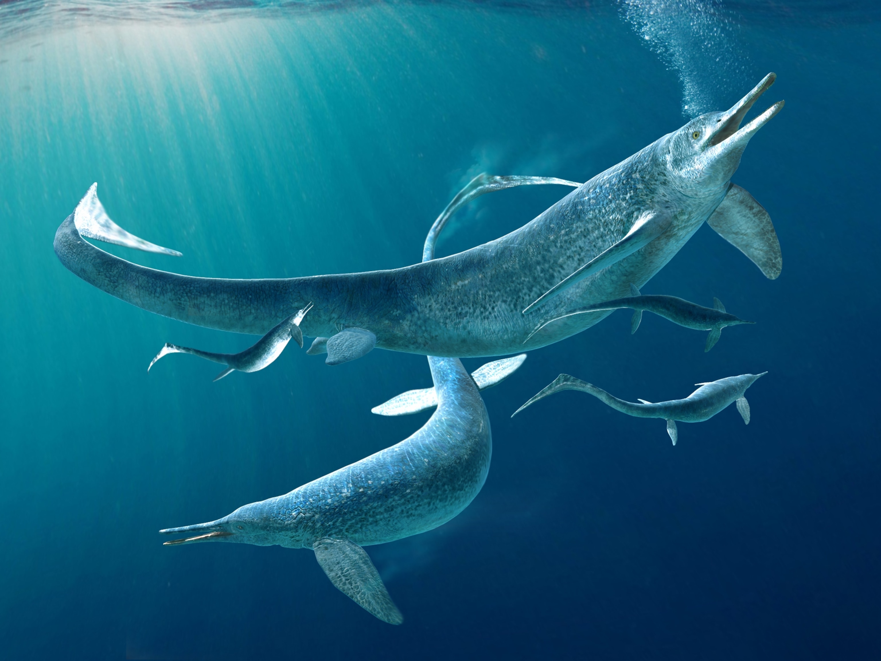 13-foot marine predator found inside another's belly in shocking fossil ...