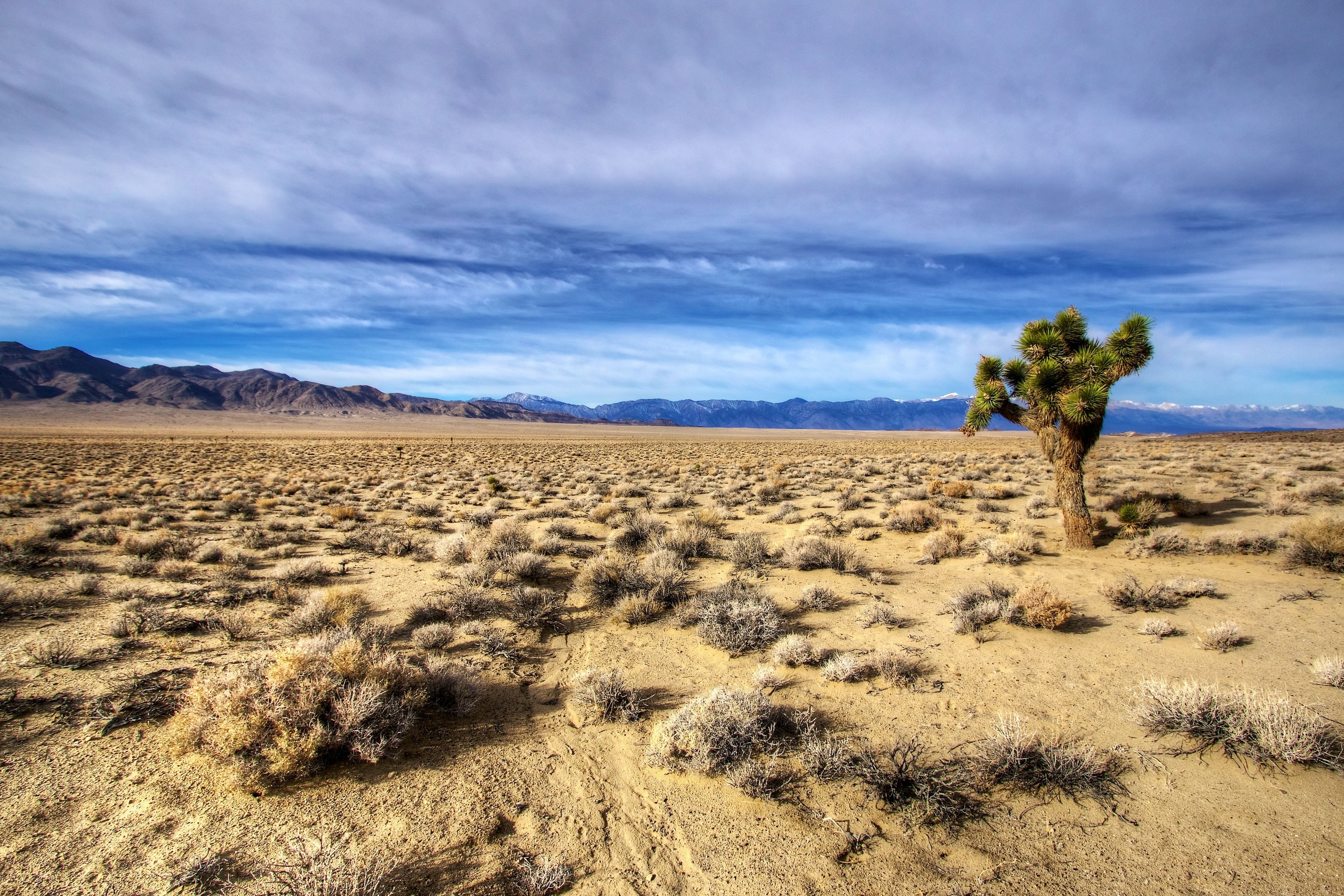 Your California Photos - National Geographic