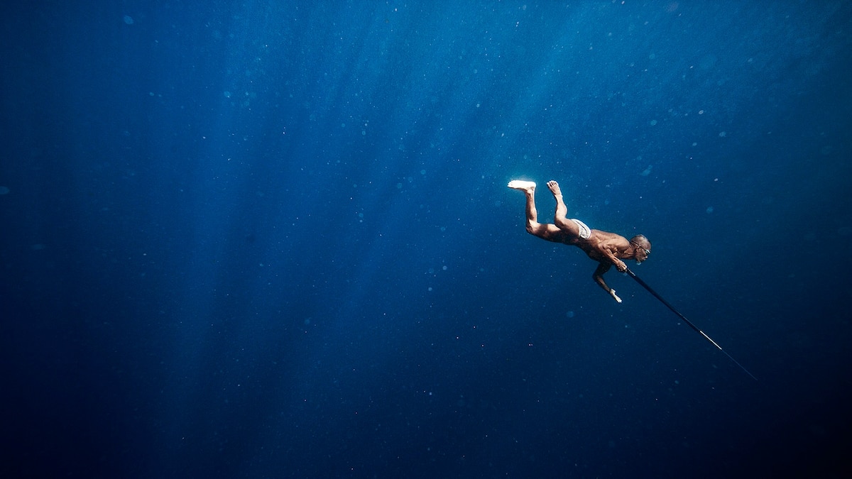 13 Pictures Capture Wonder and Bounty of Our Oceans | National Geographic