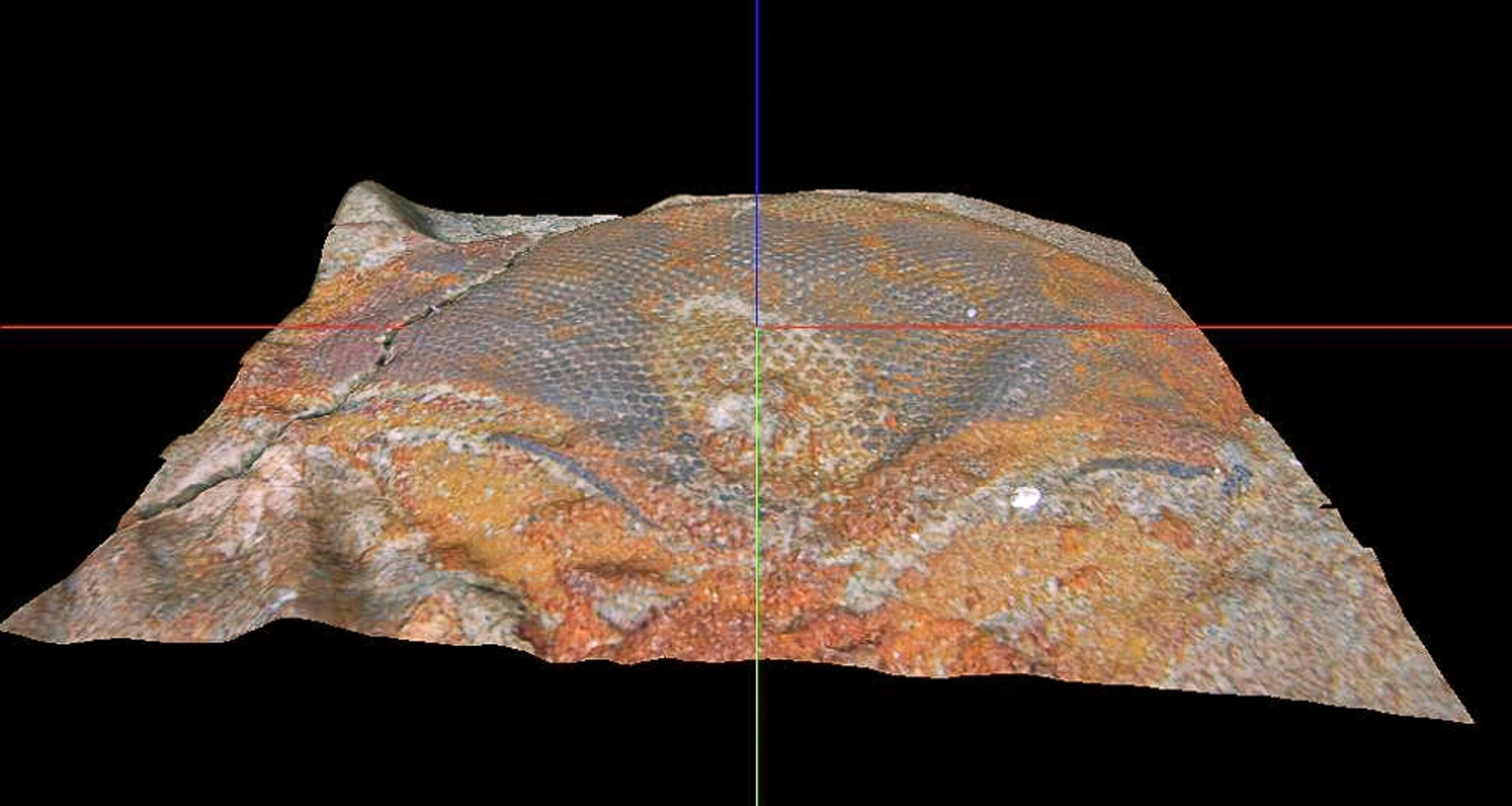 Pictures: Prehistoric Eyes Found—Surprisingly Advanced | National ...
