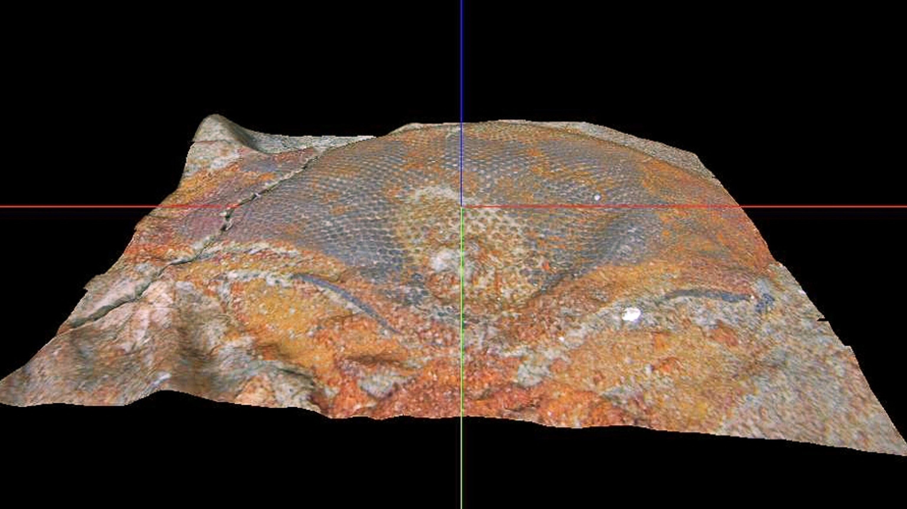 Pictures: Prehistoric Eyes Found—Surprisingly Advanced