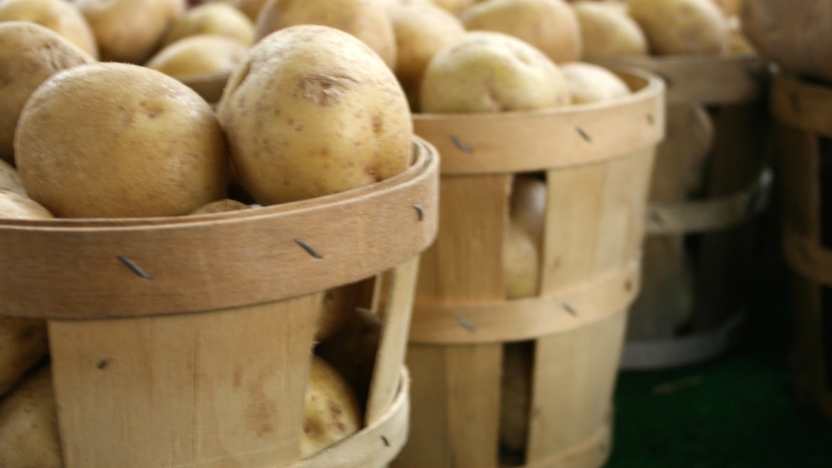 Organic Foods Are Tastier and Healthier, Study Finds | National Geographic