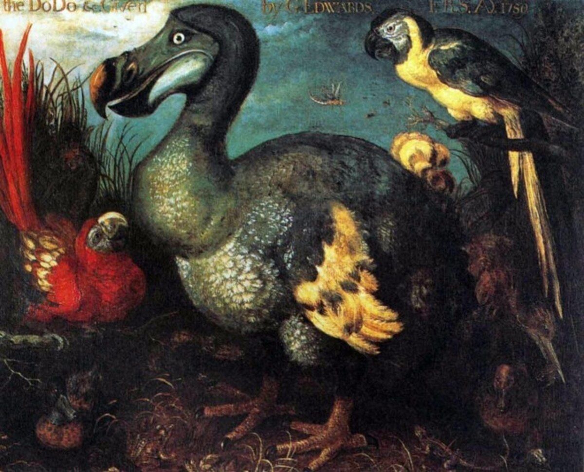 The Dodo is Dead, Long Live the Dodo!