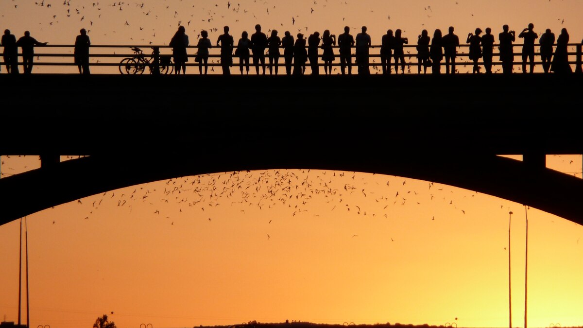 20 Animal Viewing Spots in the U.S. | National Geographic