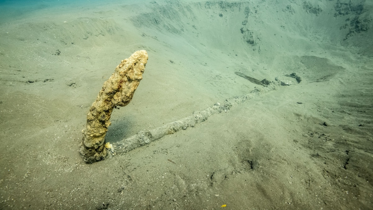 Exclusive: new clue in mystery of conquistador Cortés lost ships ...