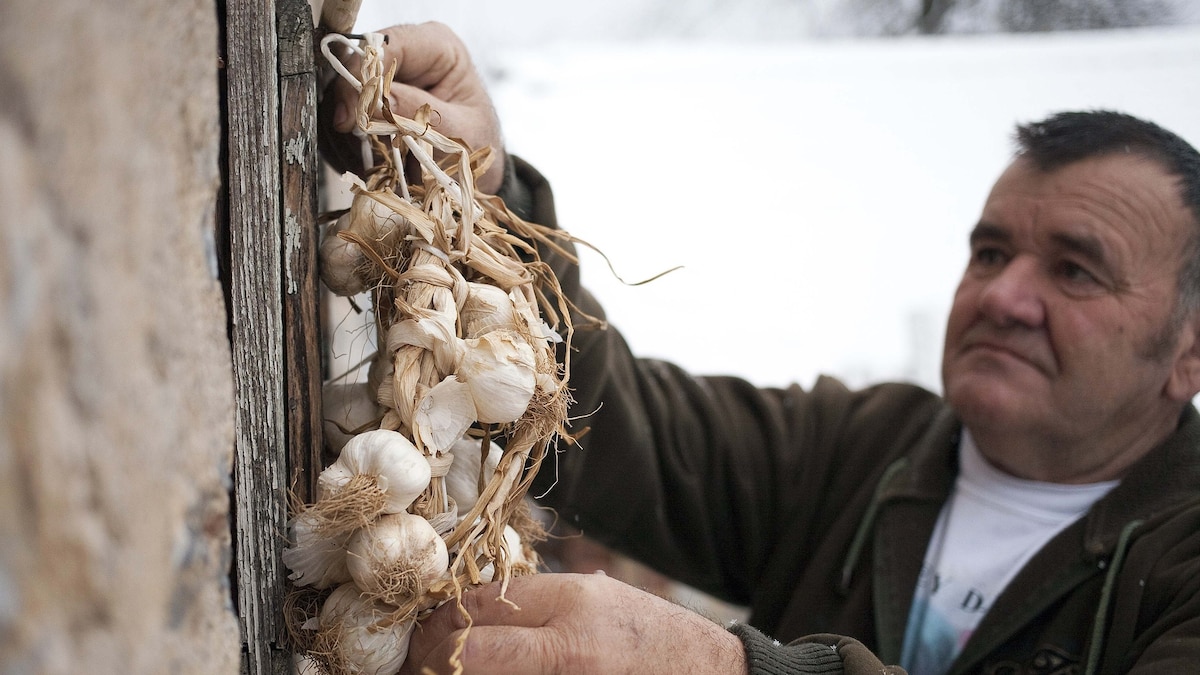 The Bloody Truth About Serbia's Vampire | National Geographic