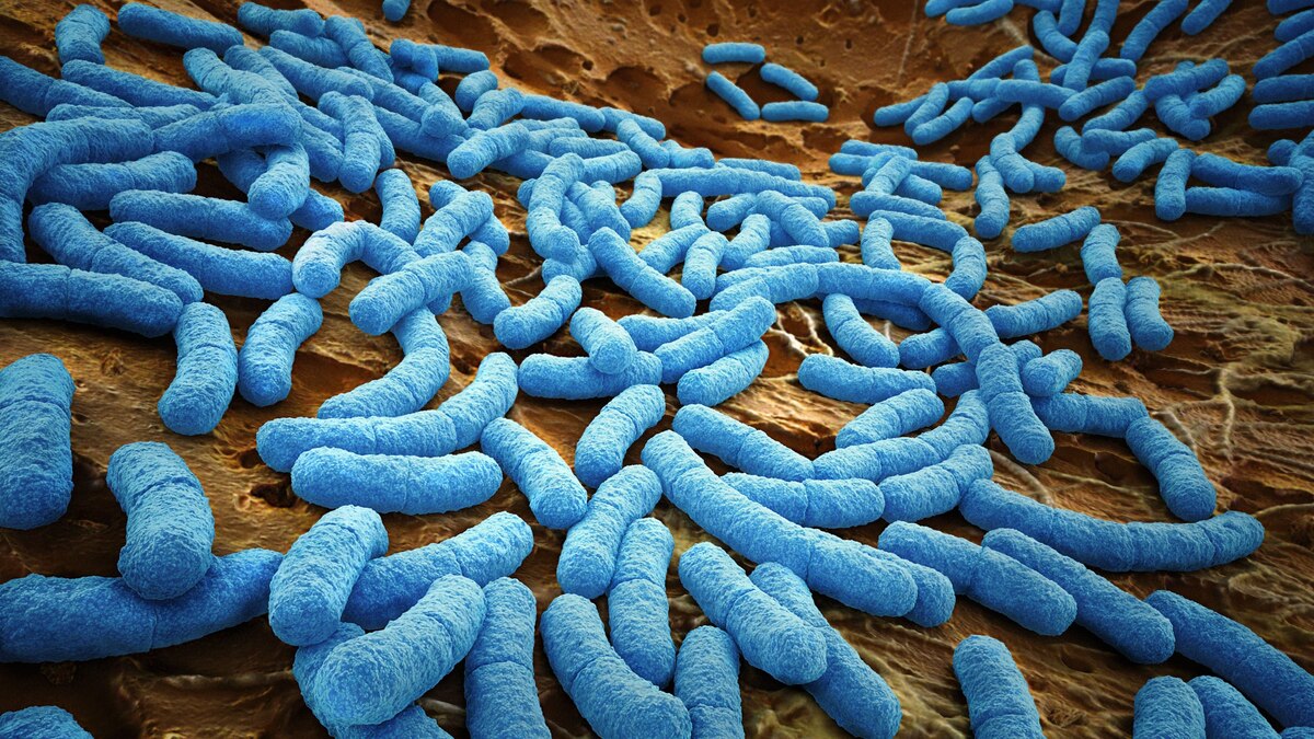 Millions Injected Into Push for New Antibiotics | National Geographic