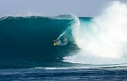 Surfer Names Factormzaer Surfer Names Factormzaer