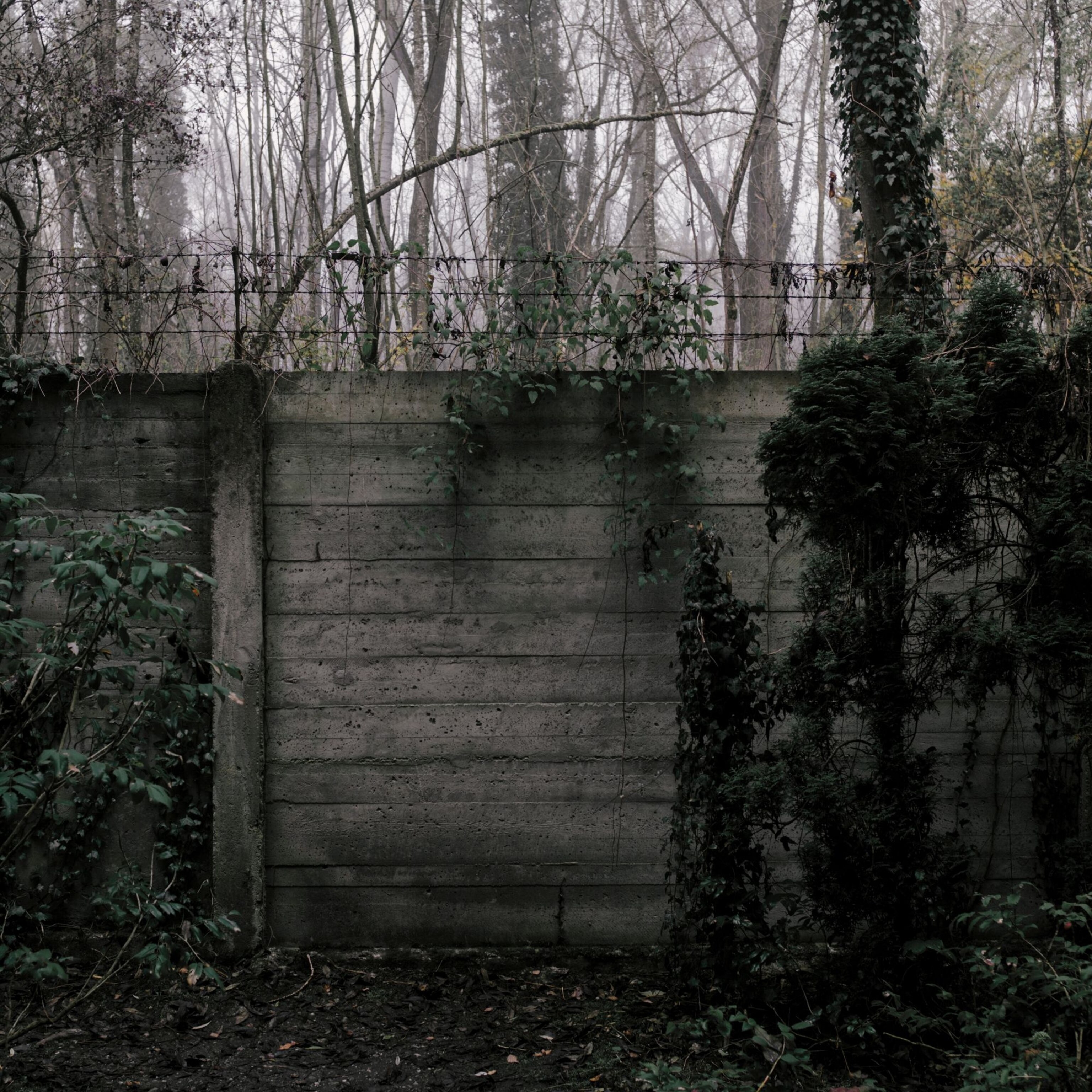 Across Europe, a photographer retraces a haunting ‘pathway to genocide.’