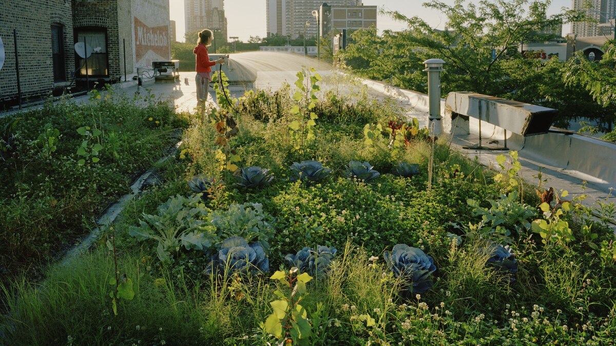 And Now for Some Good News About Climate Change | National Geographic