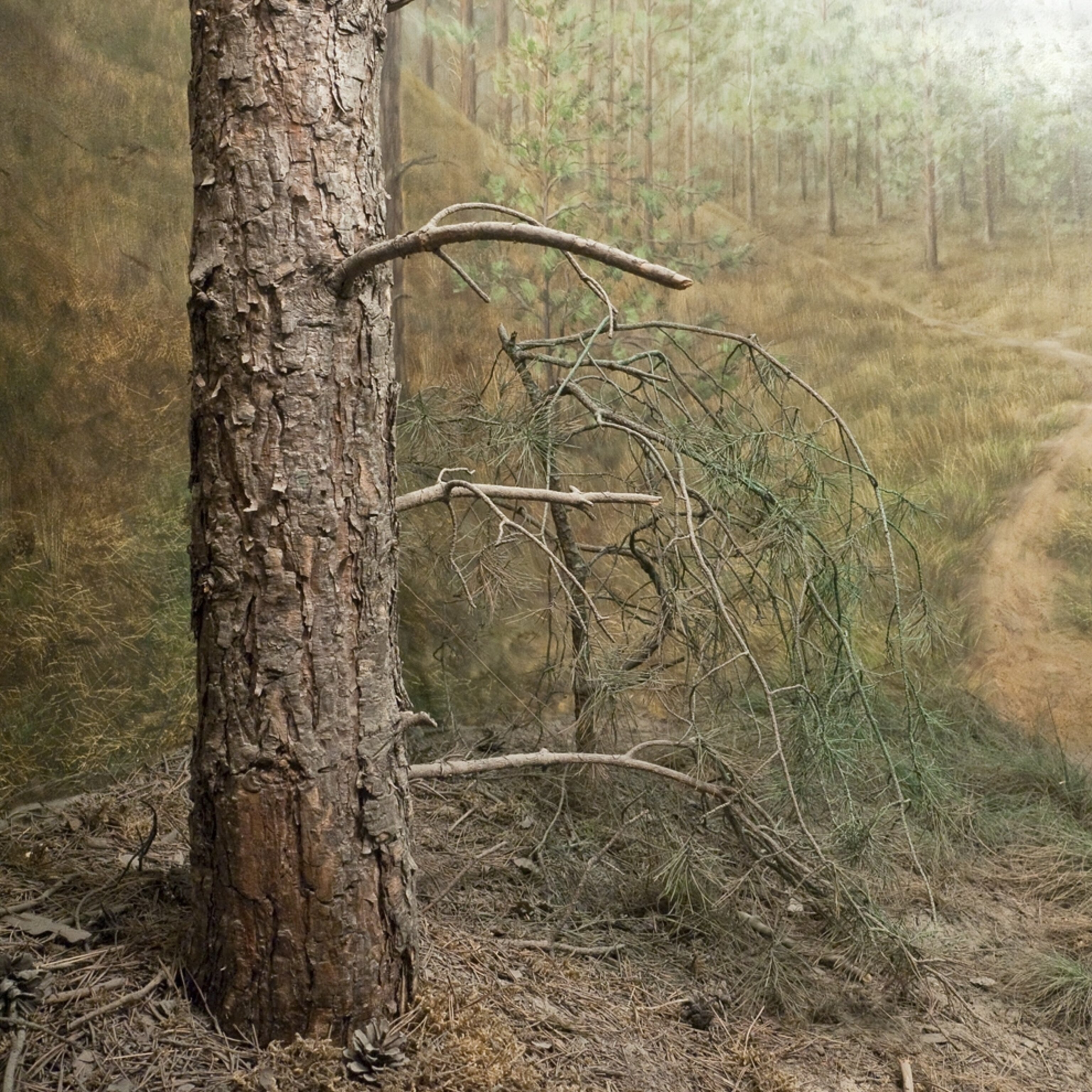 Best Pictures: World Photography Awards 2011