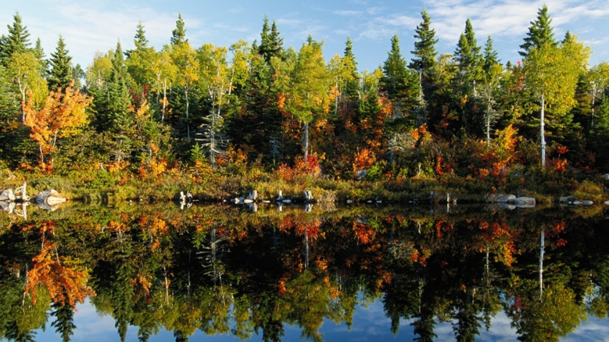 Reflections Photos, Reflections Pictures, Reflections Wallpaper ...