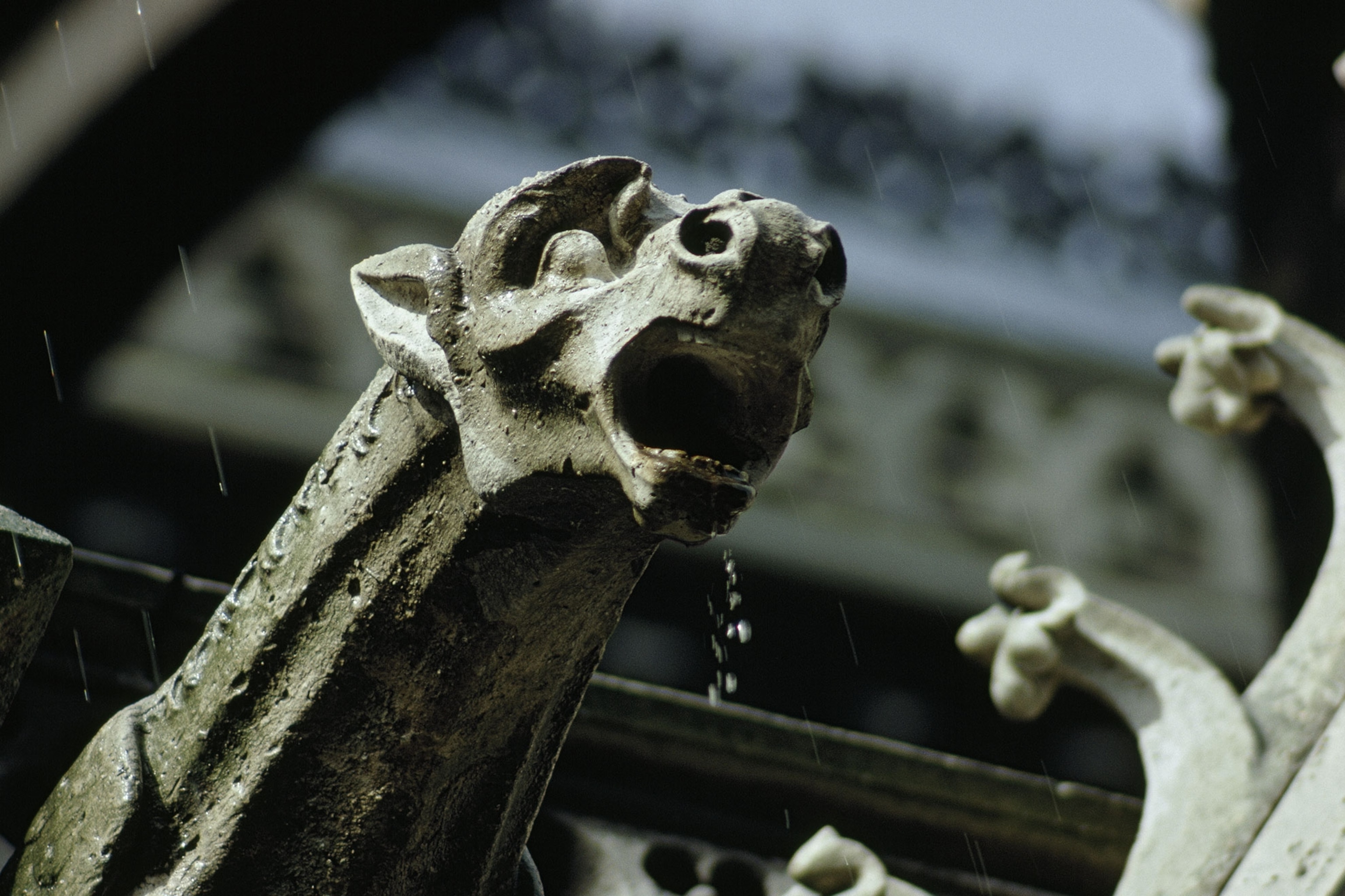 This 1968 Nat Geo feature explored Notre Dame