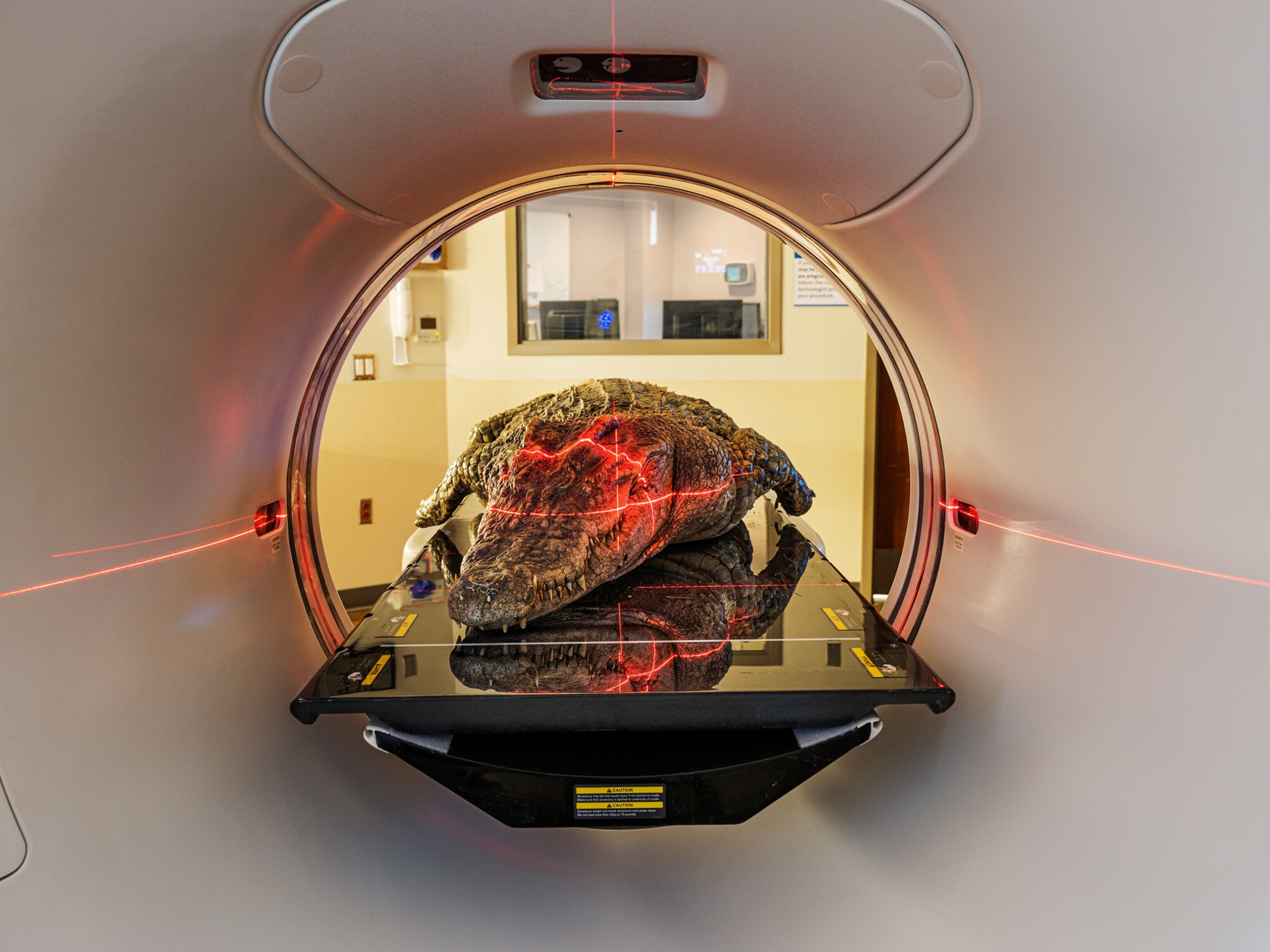 The best science photos of 2020