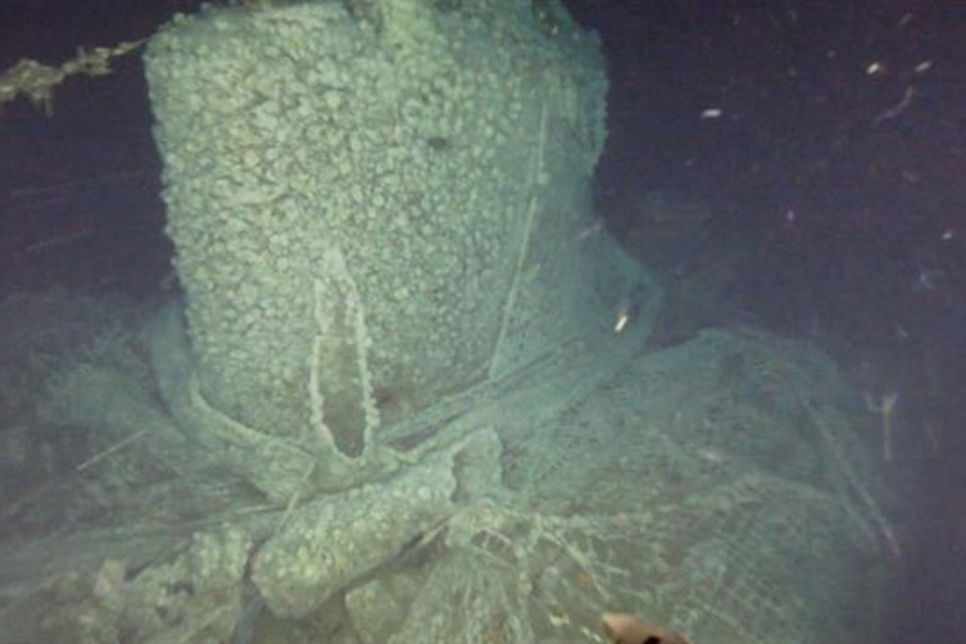 WWI German U-boat Discovered Off US Coast 100 Years After, 43% OFF