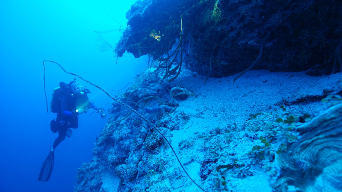 Capturing Imagery of Deep Coral Reef in TOTO | National Geographic