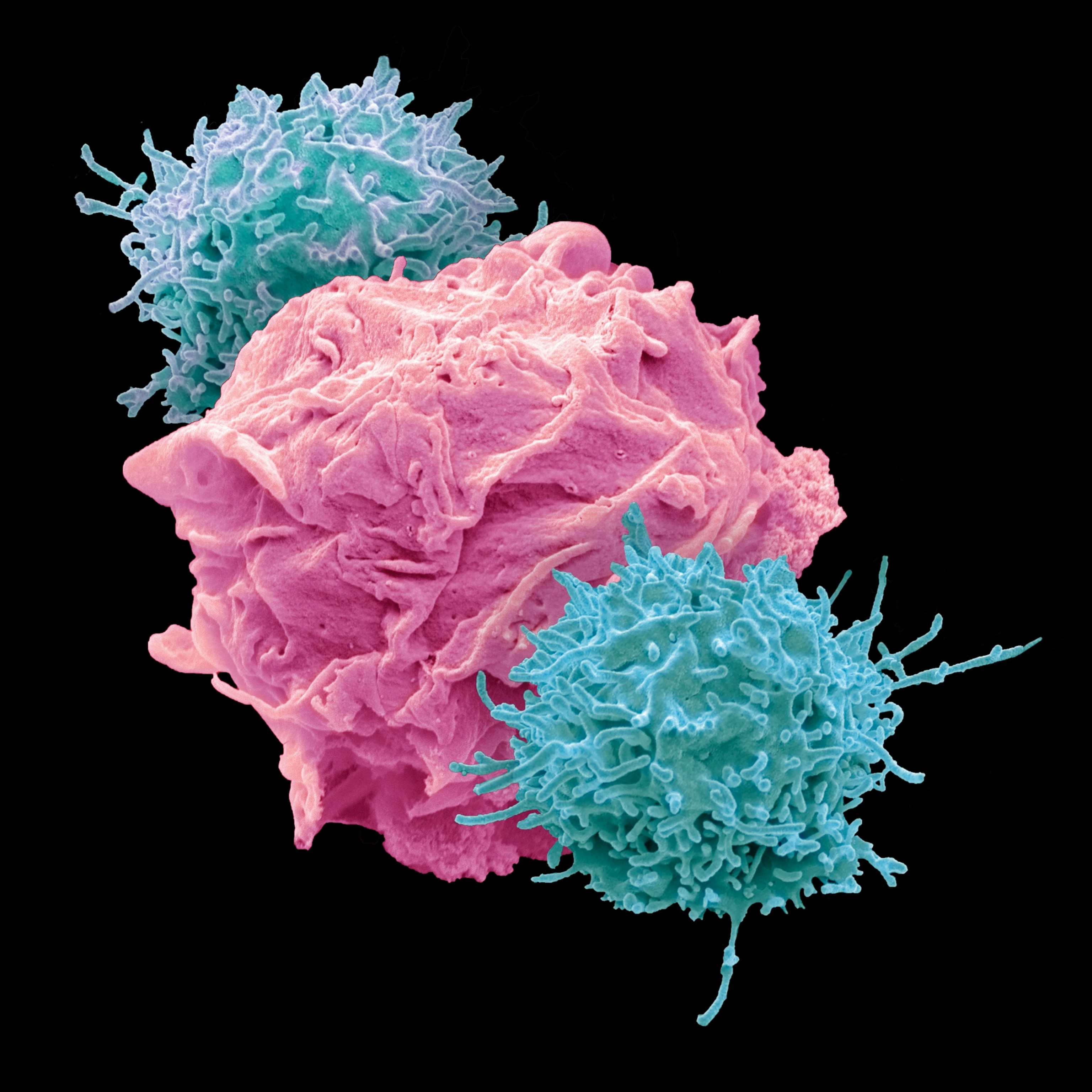 The 7 most exciting cancer stories of 2022