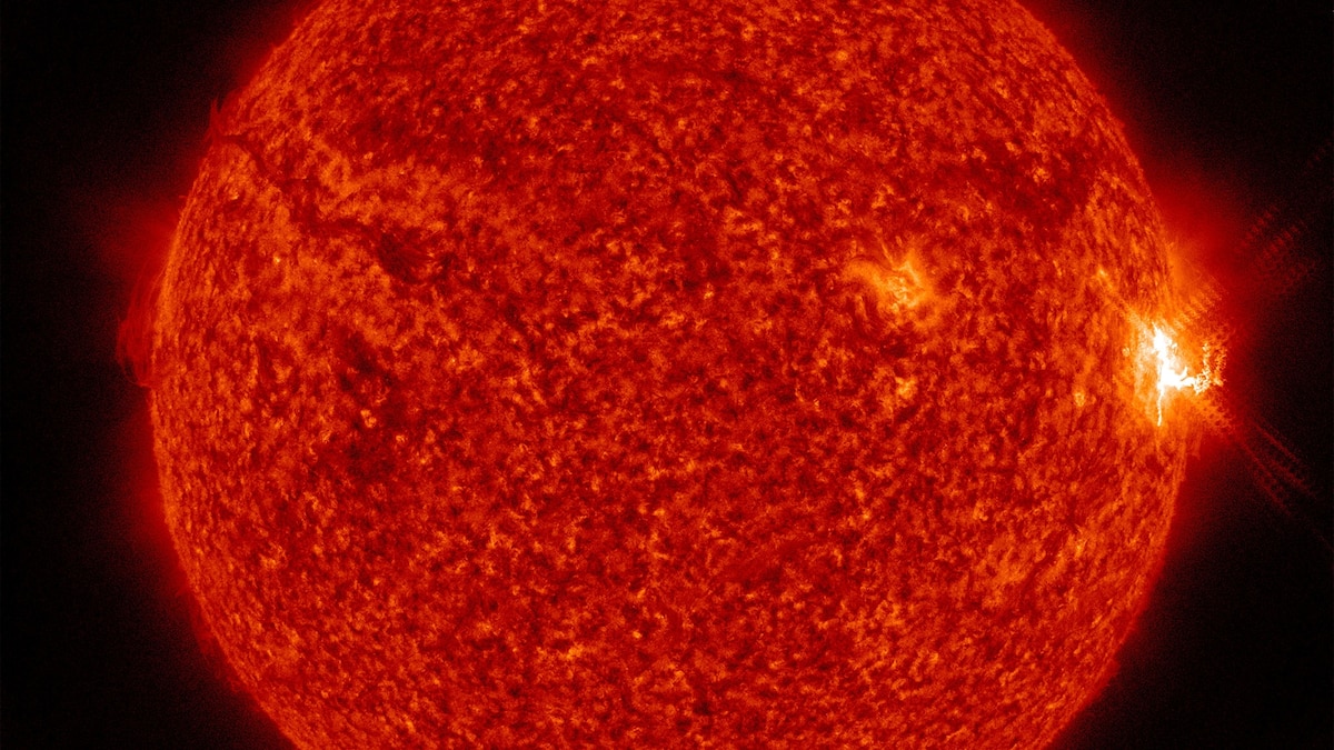 Looking For Life on Proxima B? Try Glowing Aliens. | National Geographic