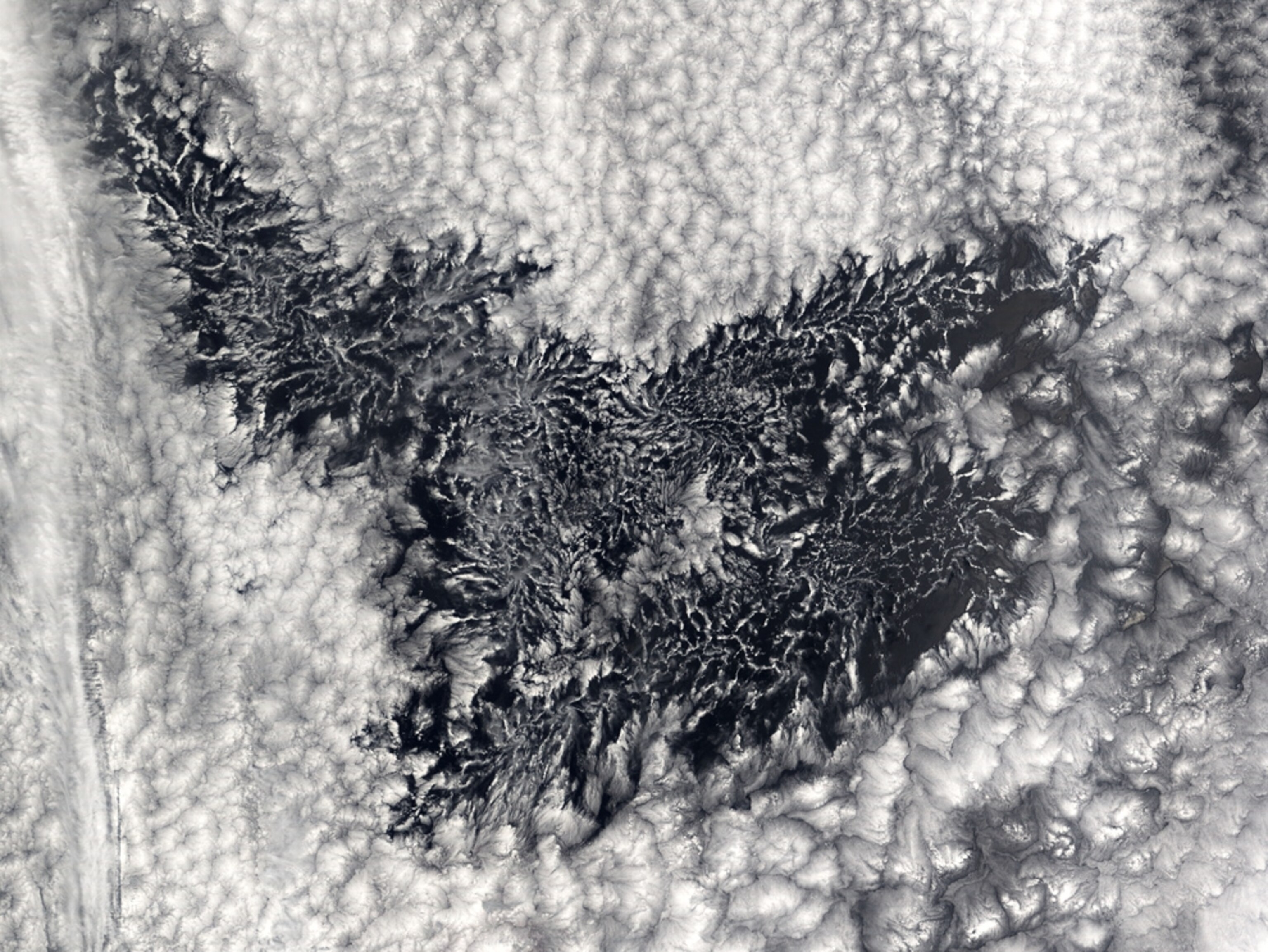 Photos: Honeycomb Clouds "Communicate," Rain in Unison | National ...