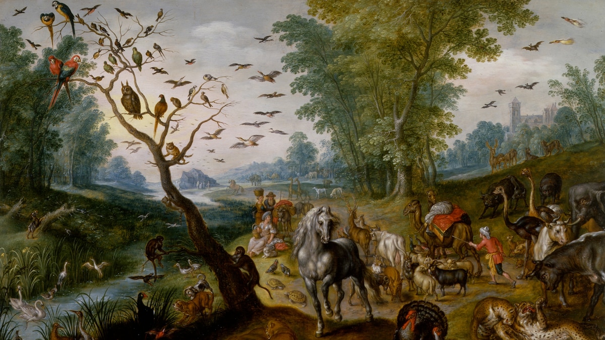 How the Old Masters painted animals: dragonfly wings and butterfly dust ...